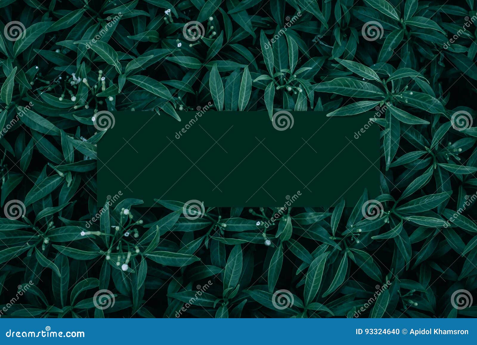 Blank for Advertising Card or Invitation. Green Paper Card Note. Stock ...