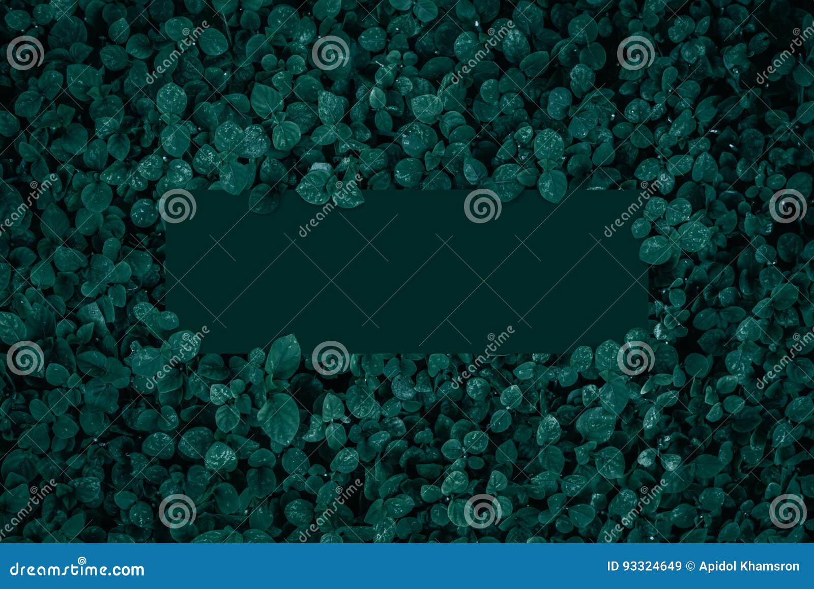 Blank for Advertising Card or Invitation. Green Paper Card Note. Stock ...