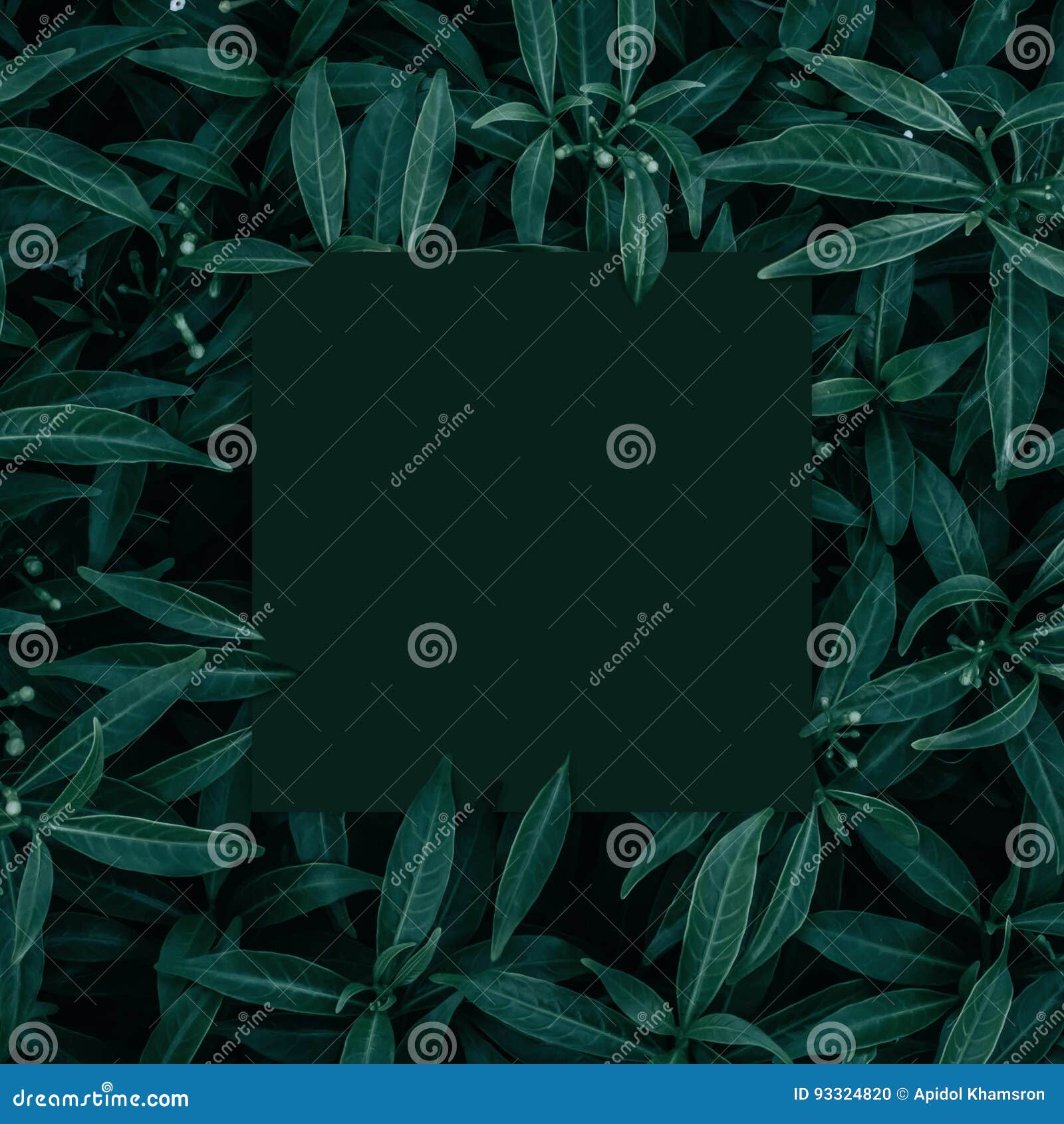 Blank for Advertising Card or Invitation. Green Paper Card Note. Stock ...