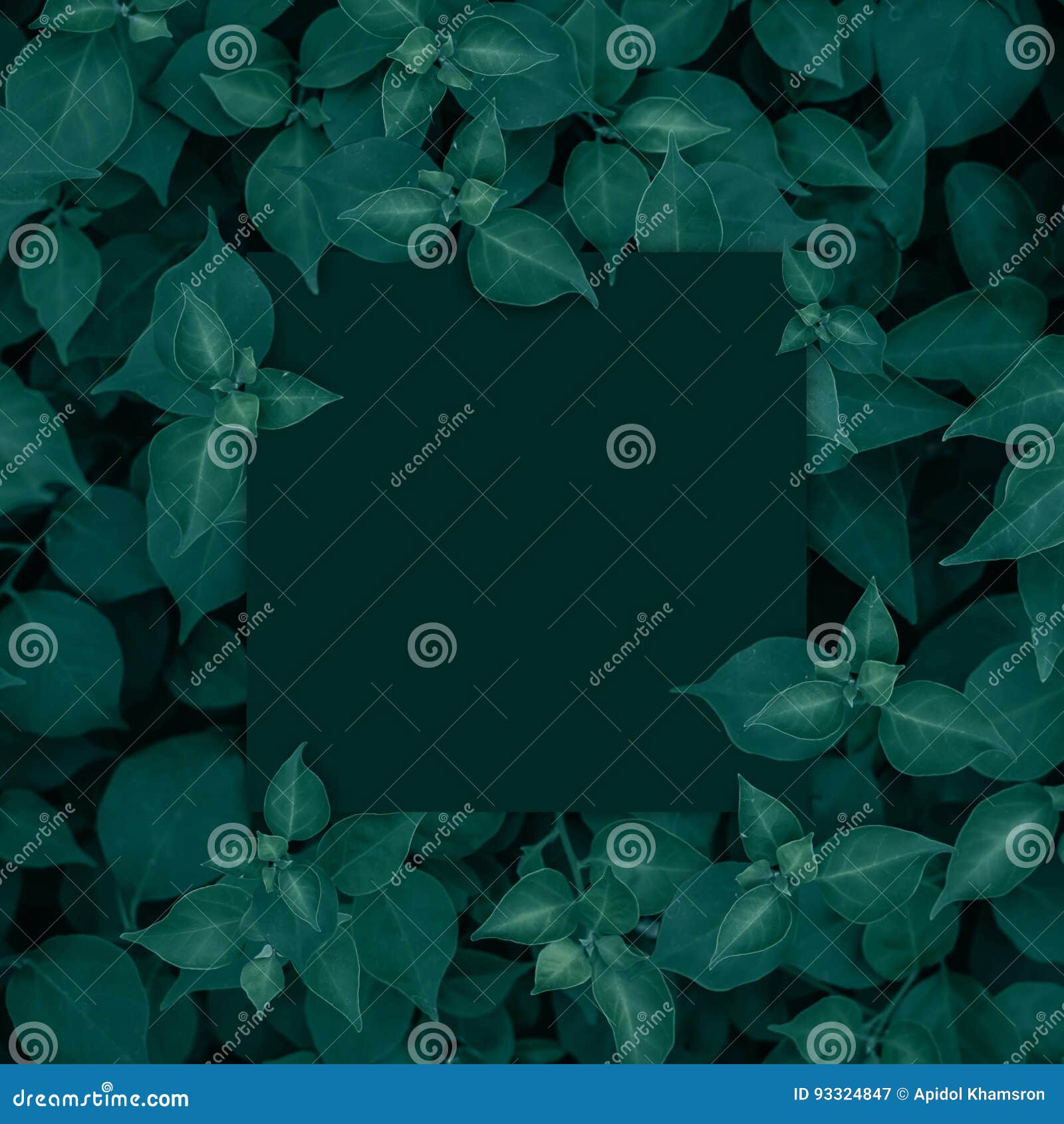 Blank for Advertising Card or Invitation. Green Paper Card Note. Stock ...