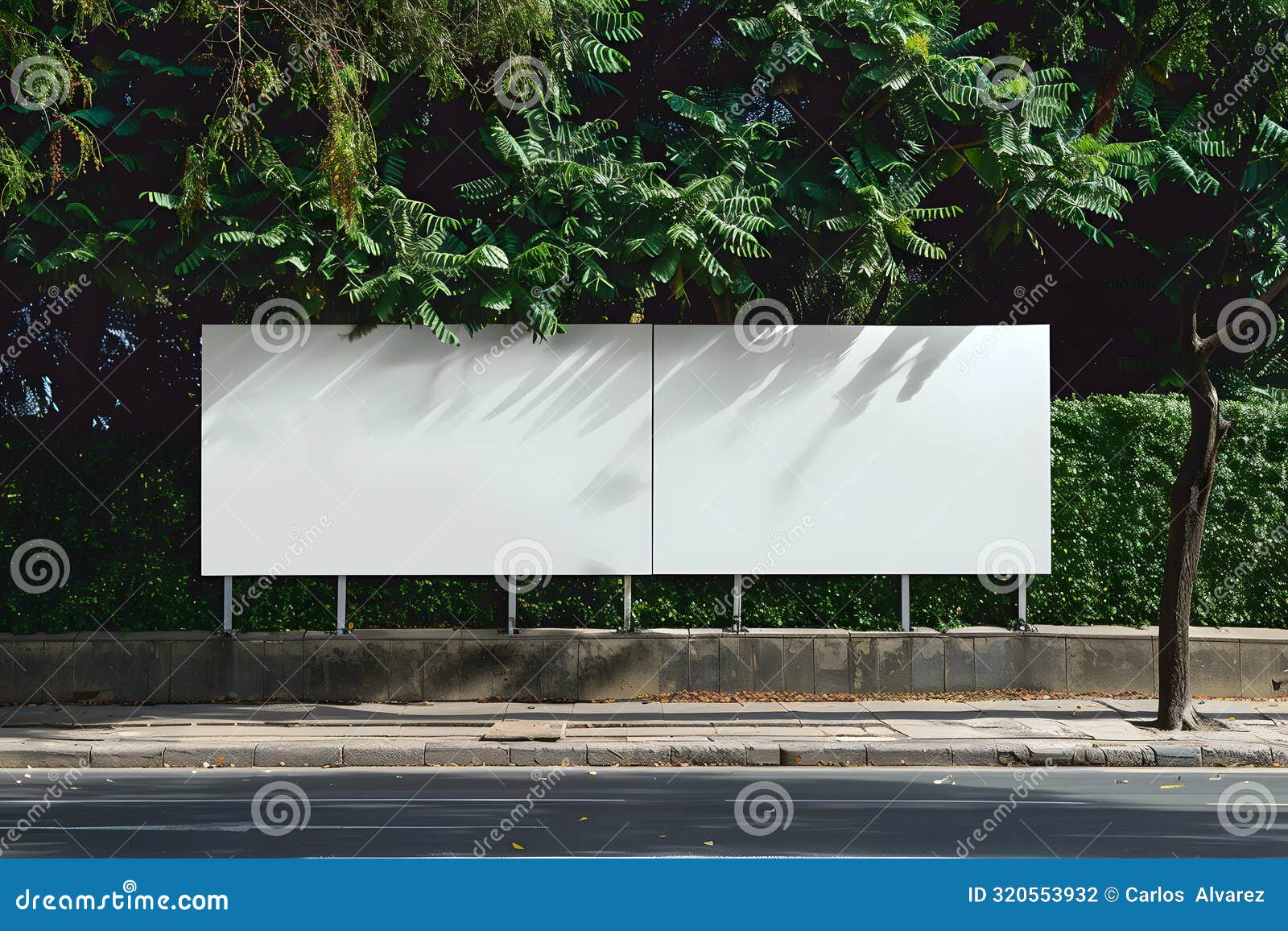 Blank Advertising Sign on the Street with Trees in the Background Stock ...