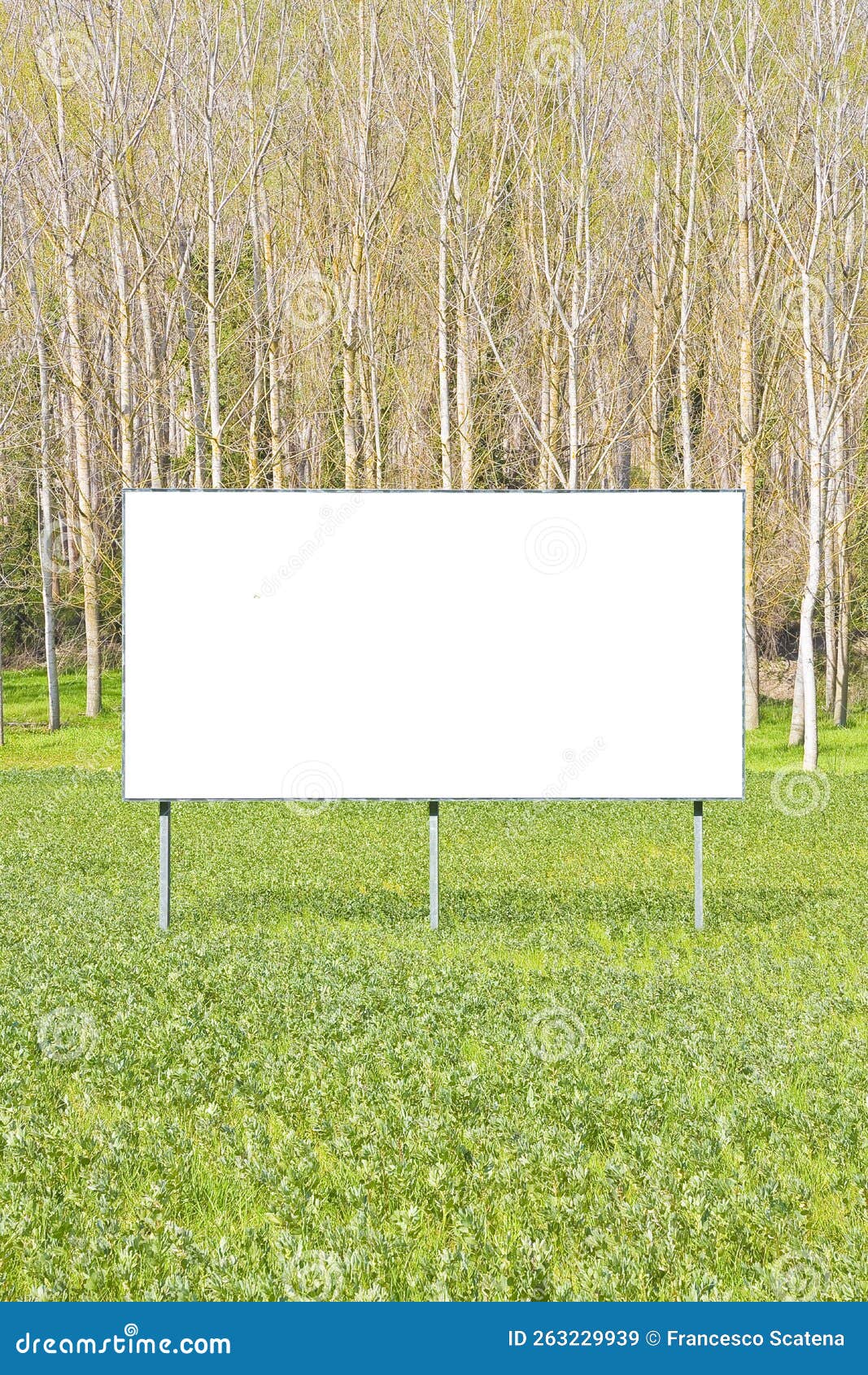 Blank Advertising Signboard in a Countryside with Forest in the ...