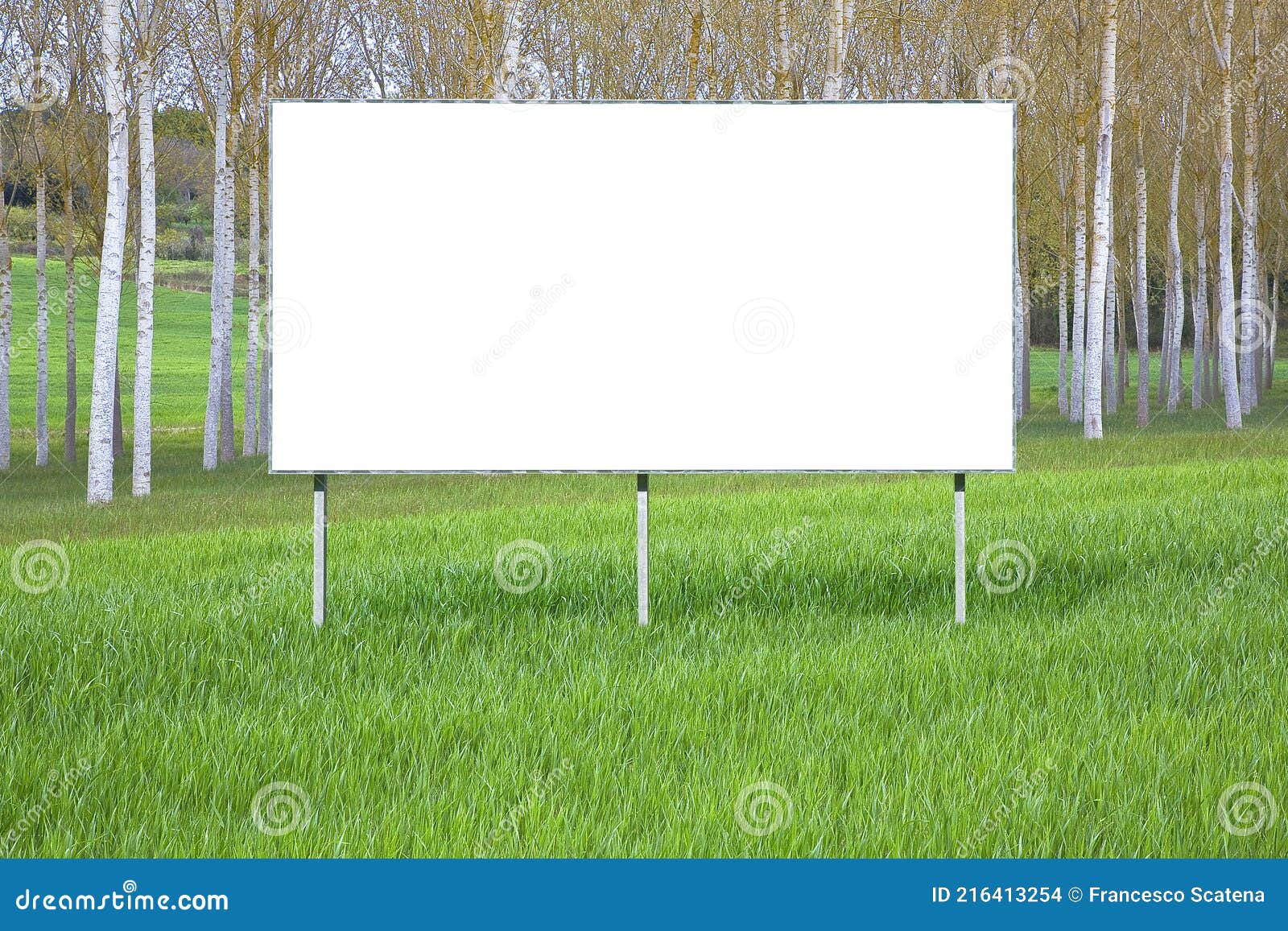 Blank Advertising Signboard in a Green Field with Trees on Background ...