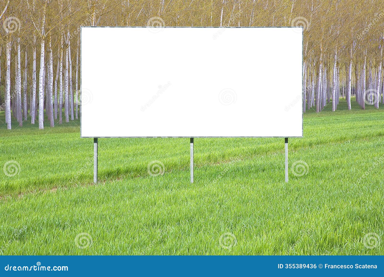 Blank Advertising Signboard in a Green Field with Trees on Background ...