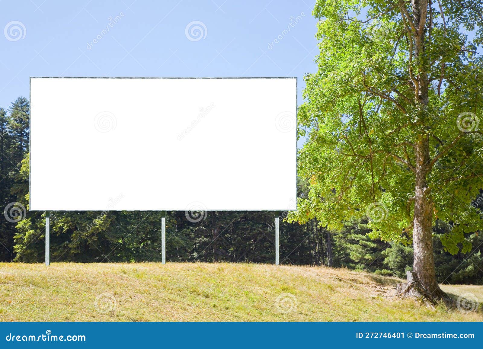 Blank Advertising Signboard in a Green Field with Trees on Background ...