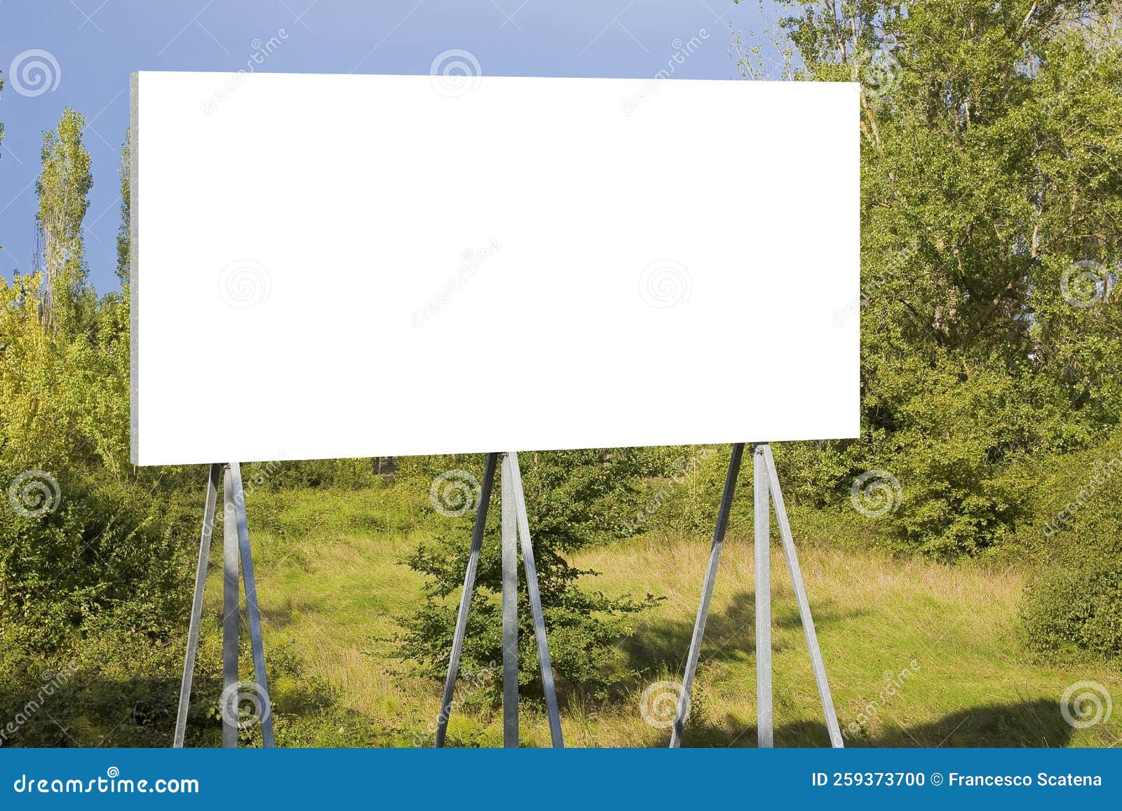 Blank Advertising Signboard with Trees on Background - Concept W Stock ...