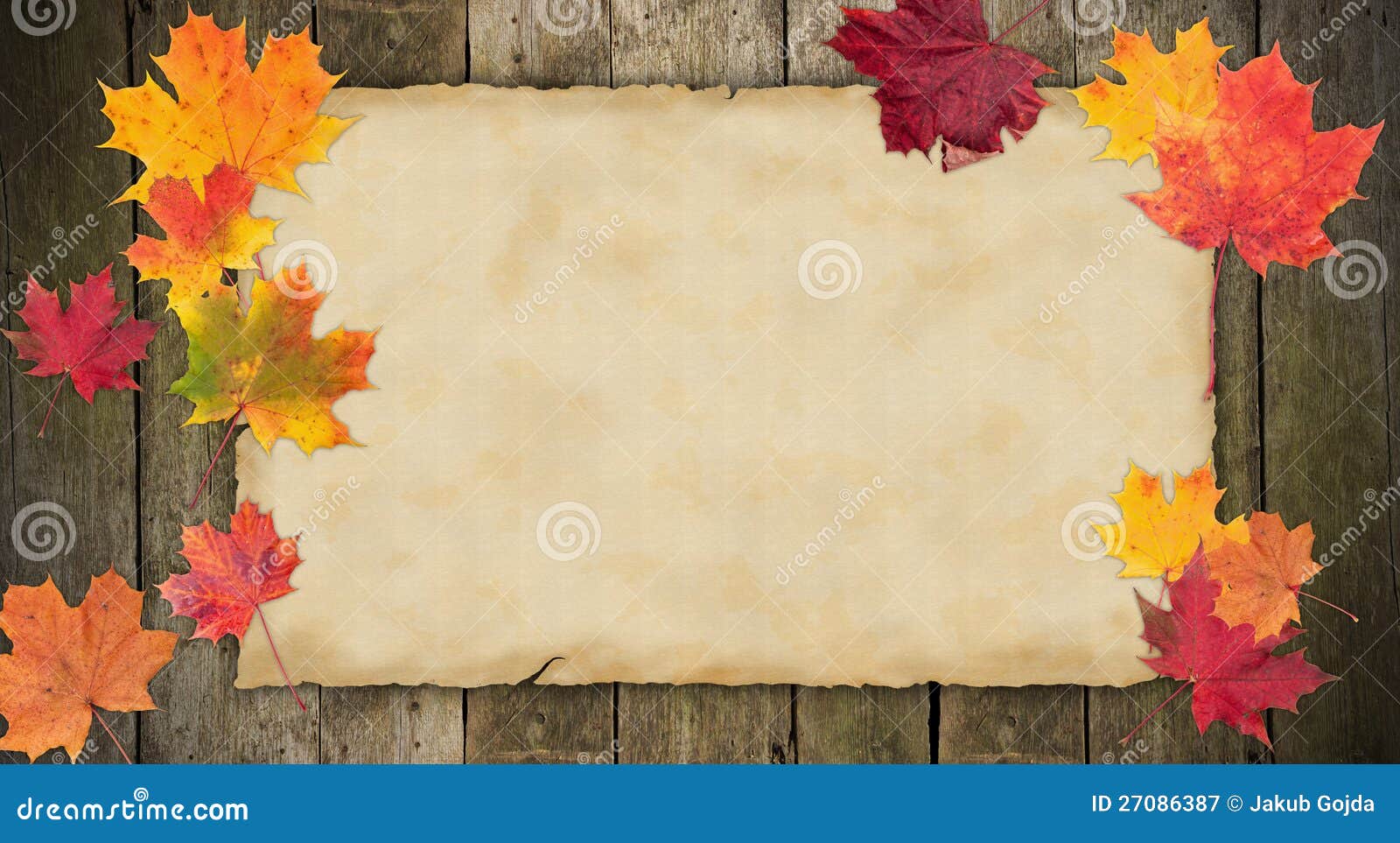 Blank autumn paper stock image. Image of paper, card - 27086387