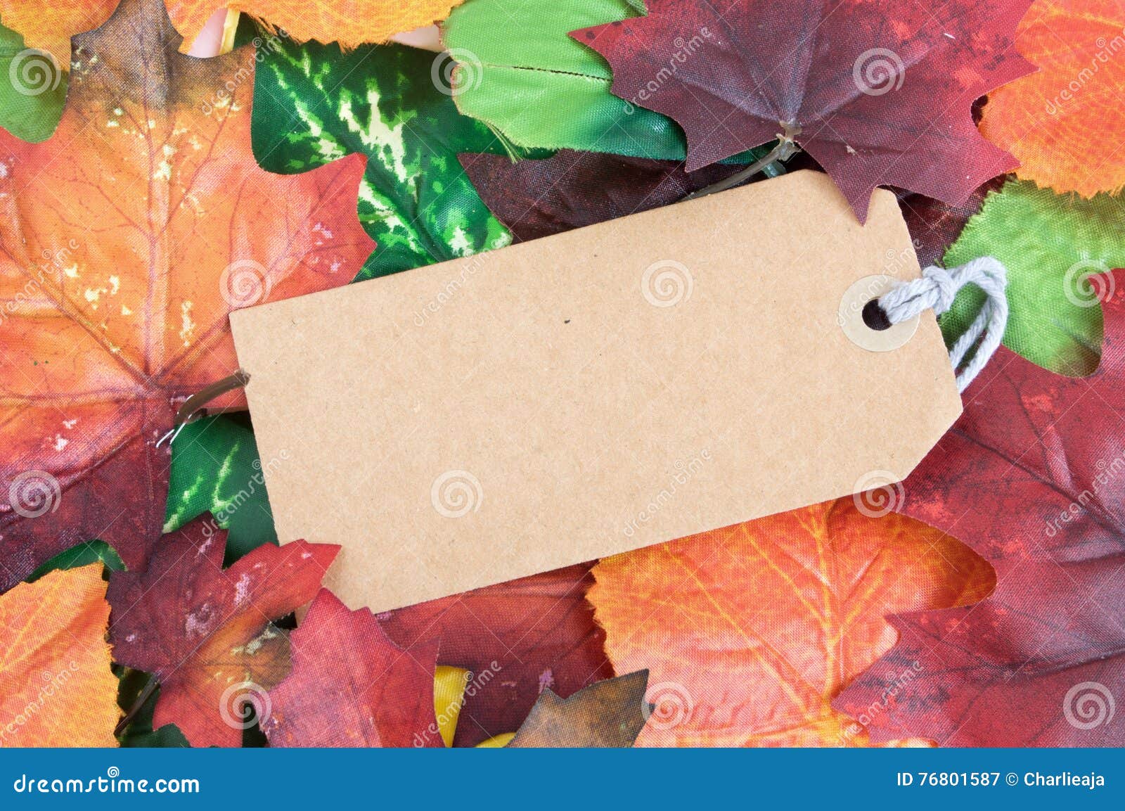 Blank autumn tag label stock image. Image of autumn, price - 76801587