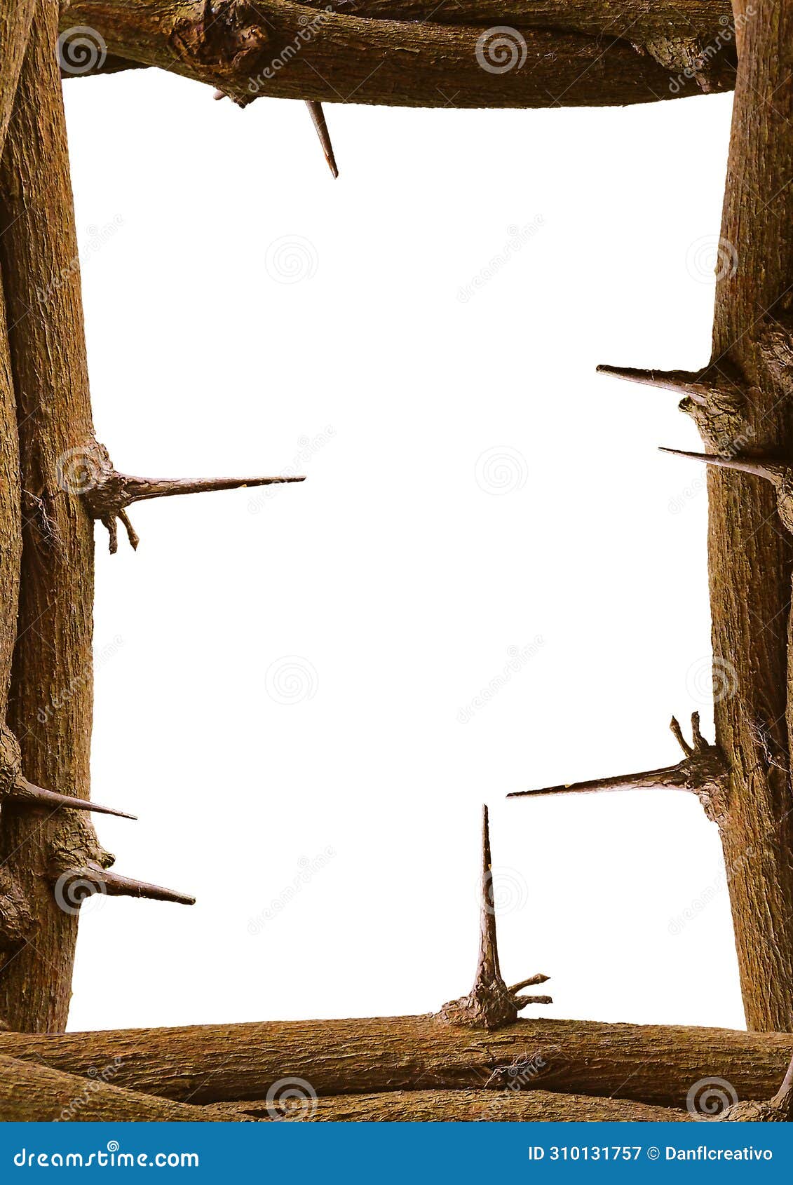 Blank Background with Branches with Branches Thorns Borders Stock Image ...