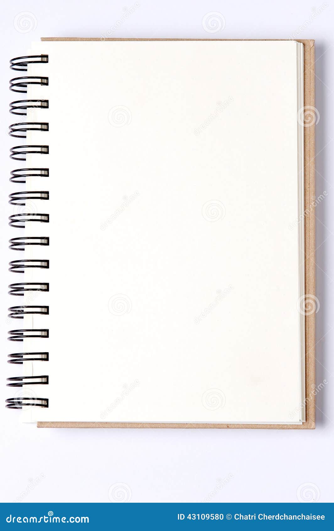 Spiral Notebook Paper Background