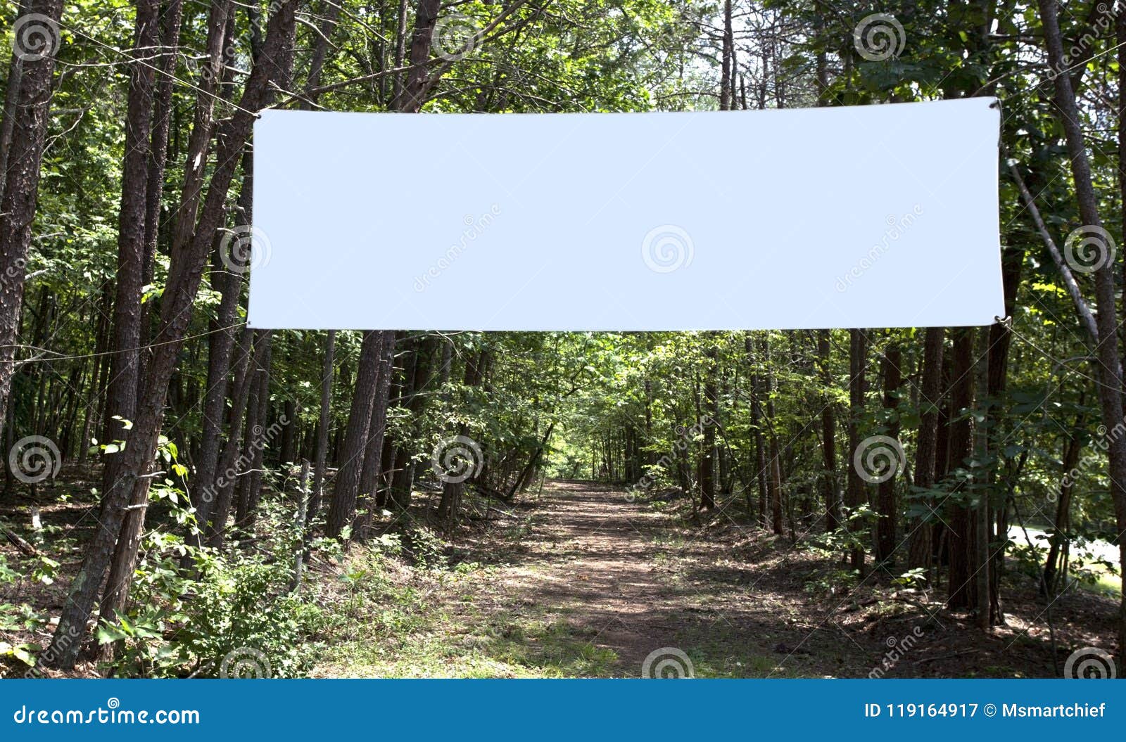Blank Banner in Forest stock image. Image of sign, space - 119164917