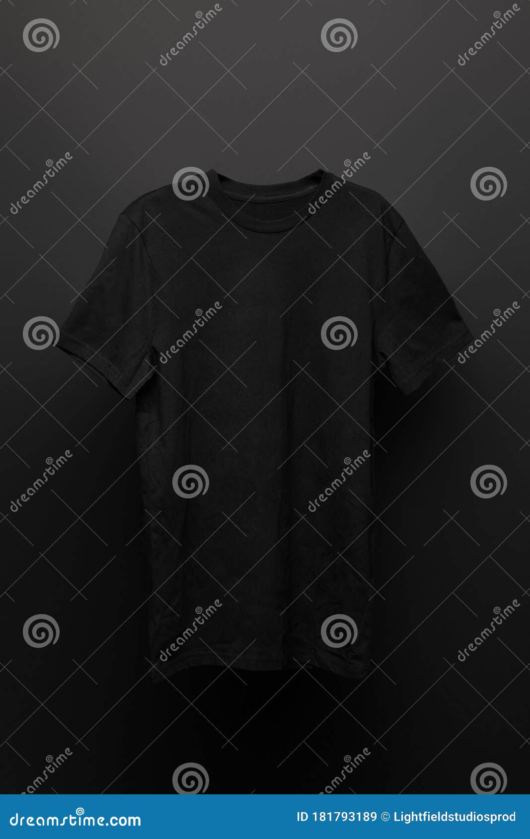 Blank Basic Black T-shirt on Stock Image - Image of cotton, style ...