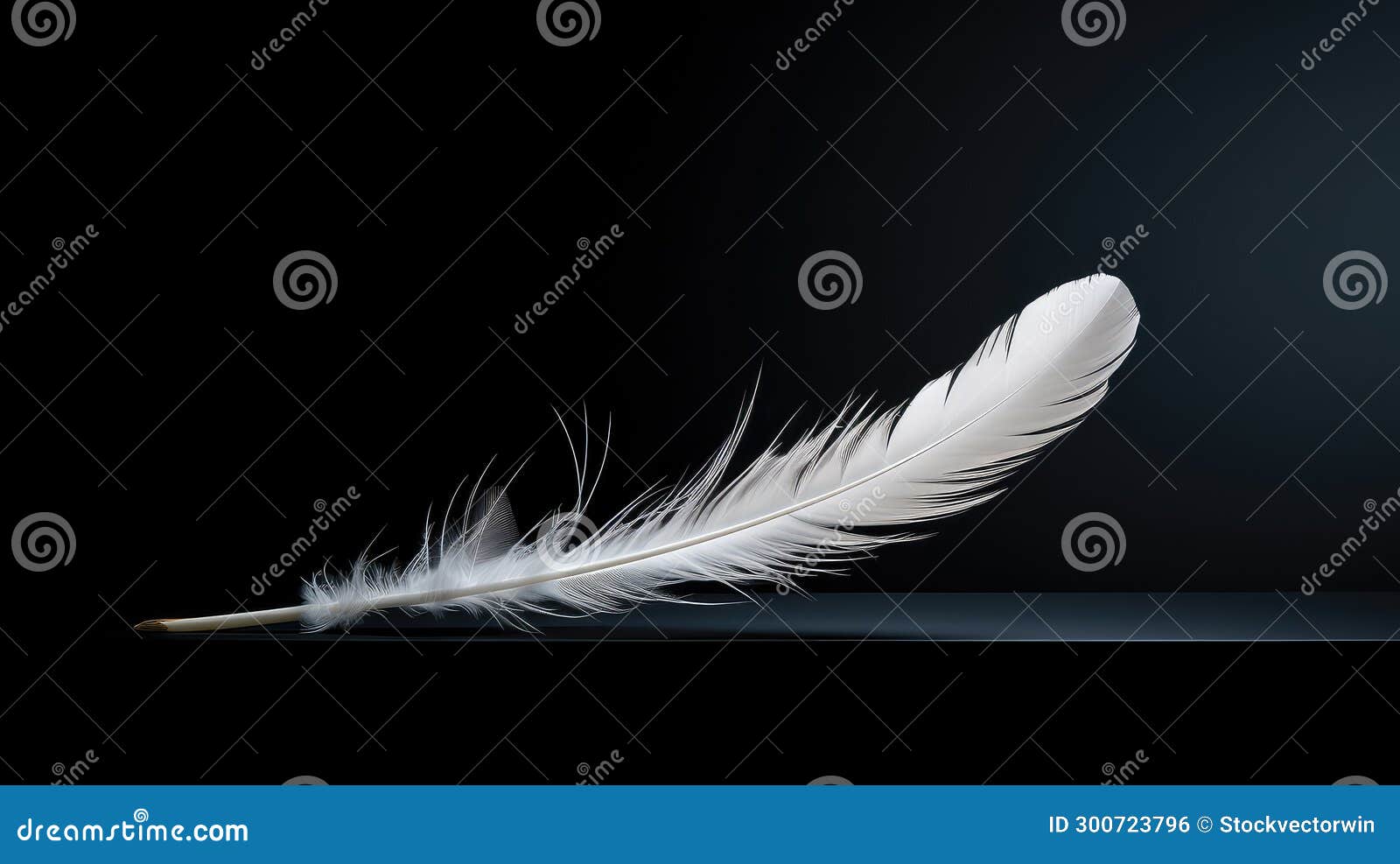 Monochrome Shadow A Shadow Effect With A Single Color Palete Stock ...