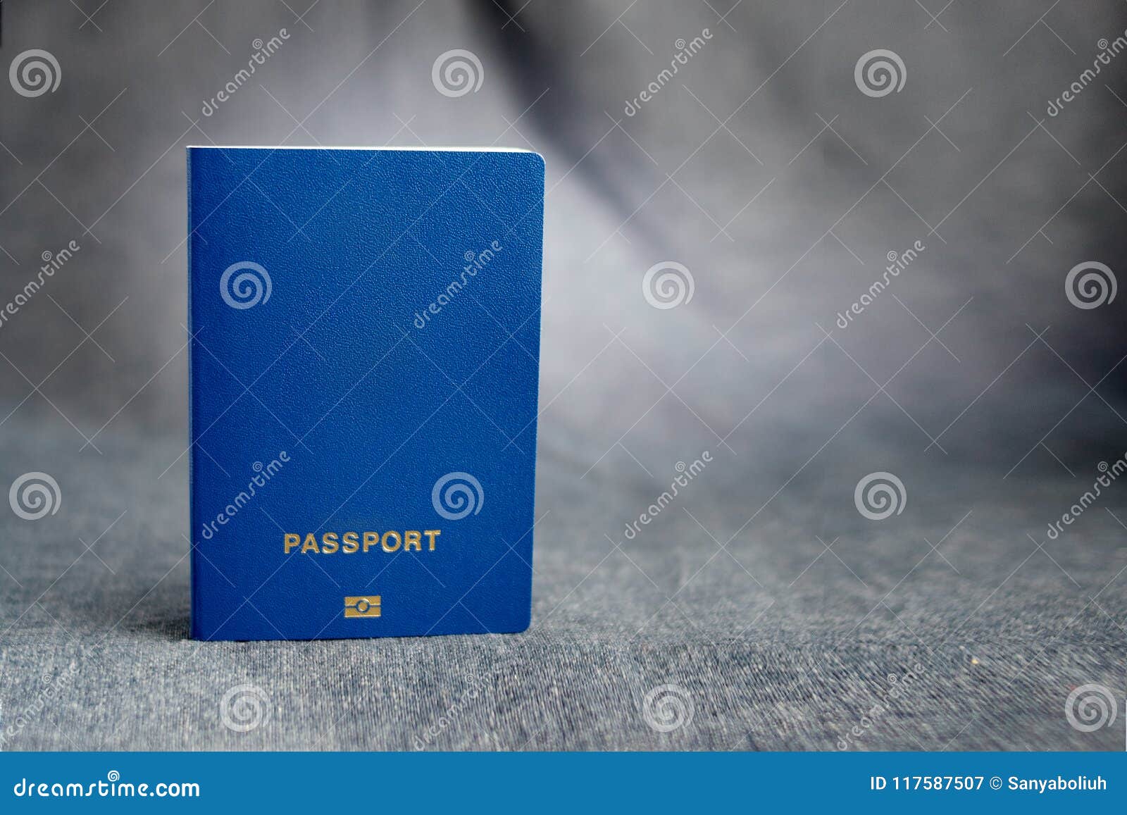 Blank Blue Biometric Passport on Gray Background with Clipping Path ...