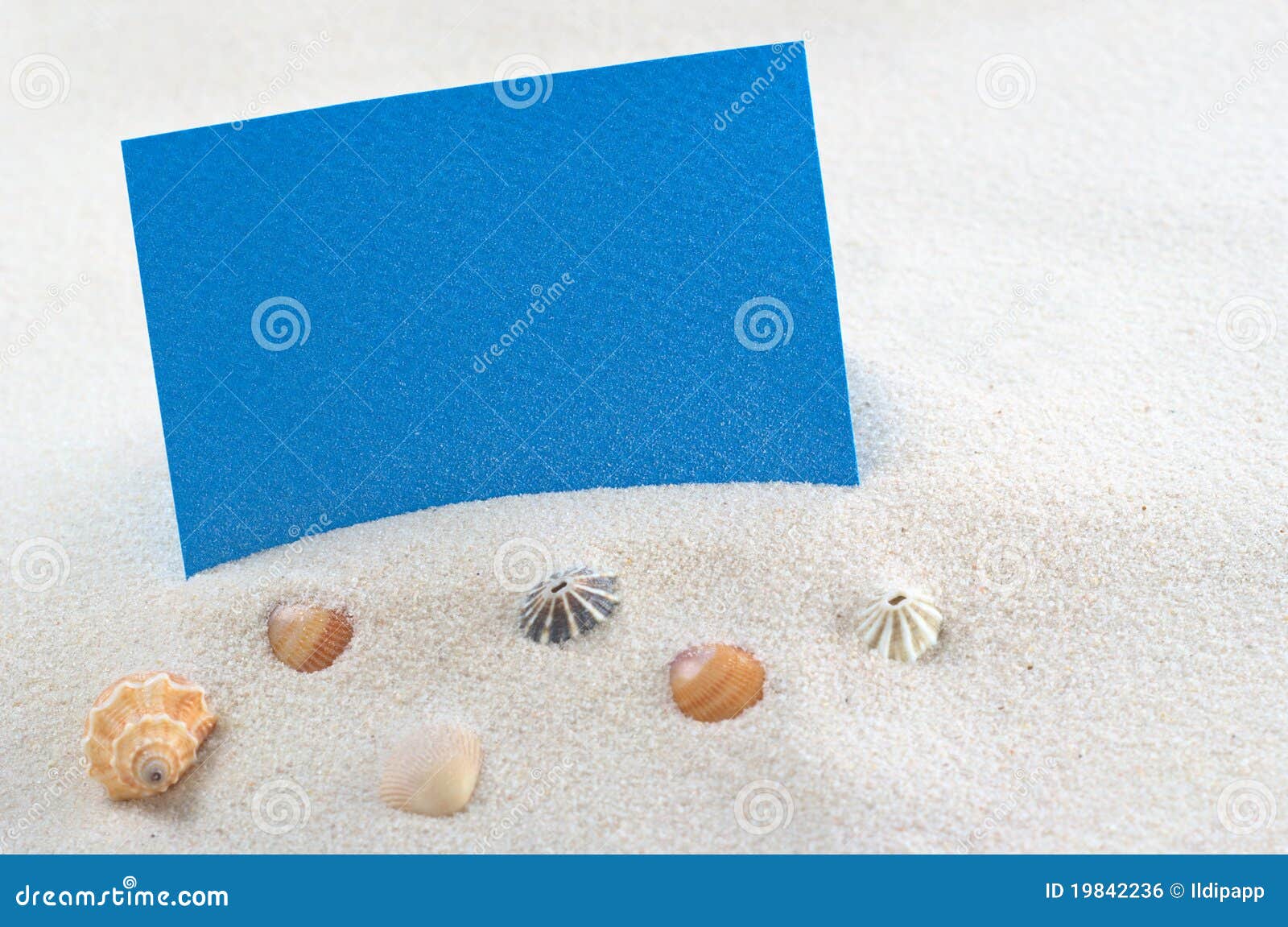 Blank Blue Card on Beach Setting Stock Photo - Image of blue, focus ...