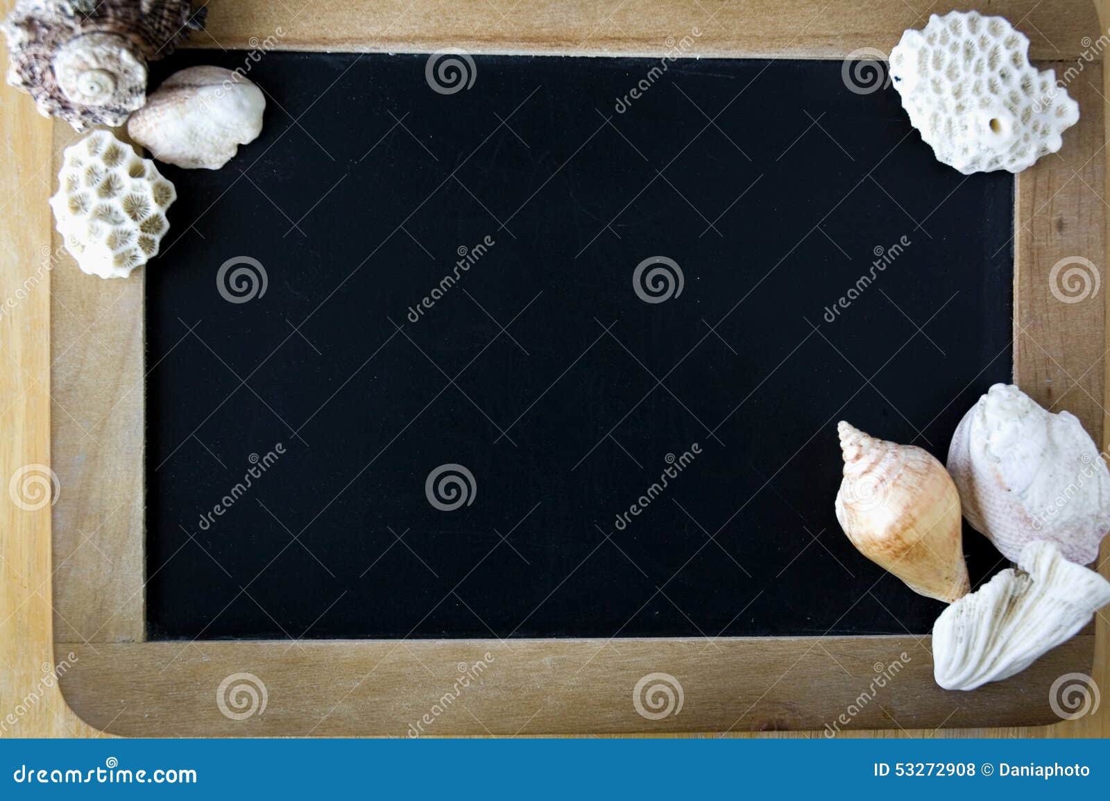 Blank board with sea shell stock photo. Image of shell - 53272908