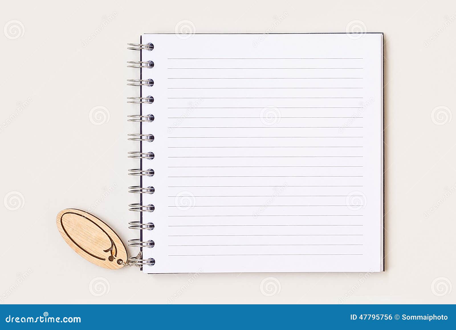 Blank book, Diary stock photo. Image of literature, hardcover - 47795756