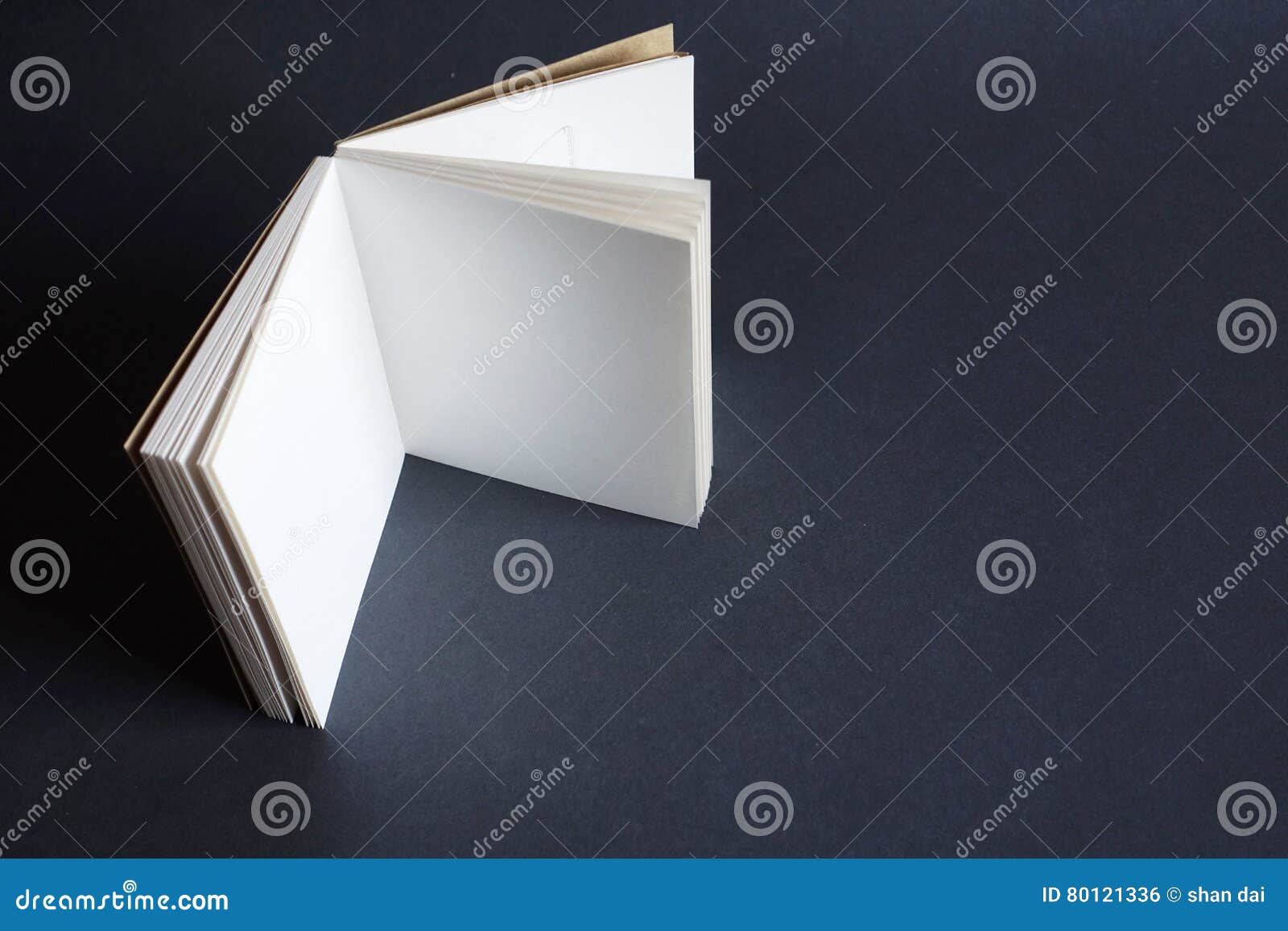 Blank book stock photo. Image of flip, blank, cover, media - 80121336