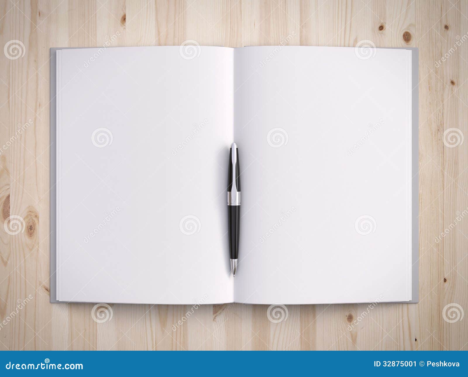 Blank book stock image. Image of page, business, stationary - 32875001