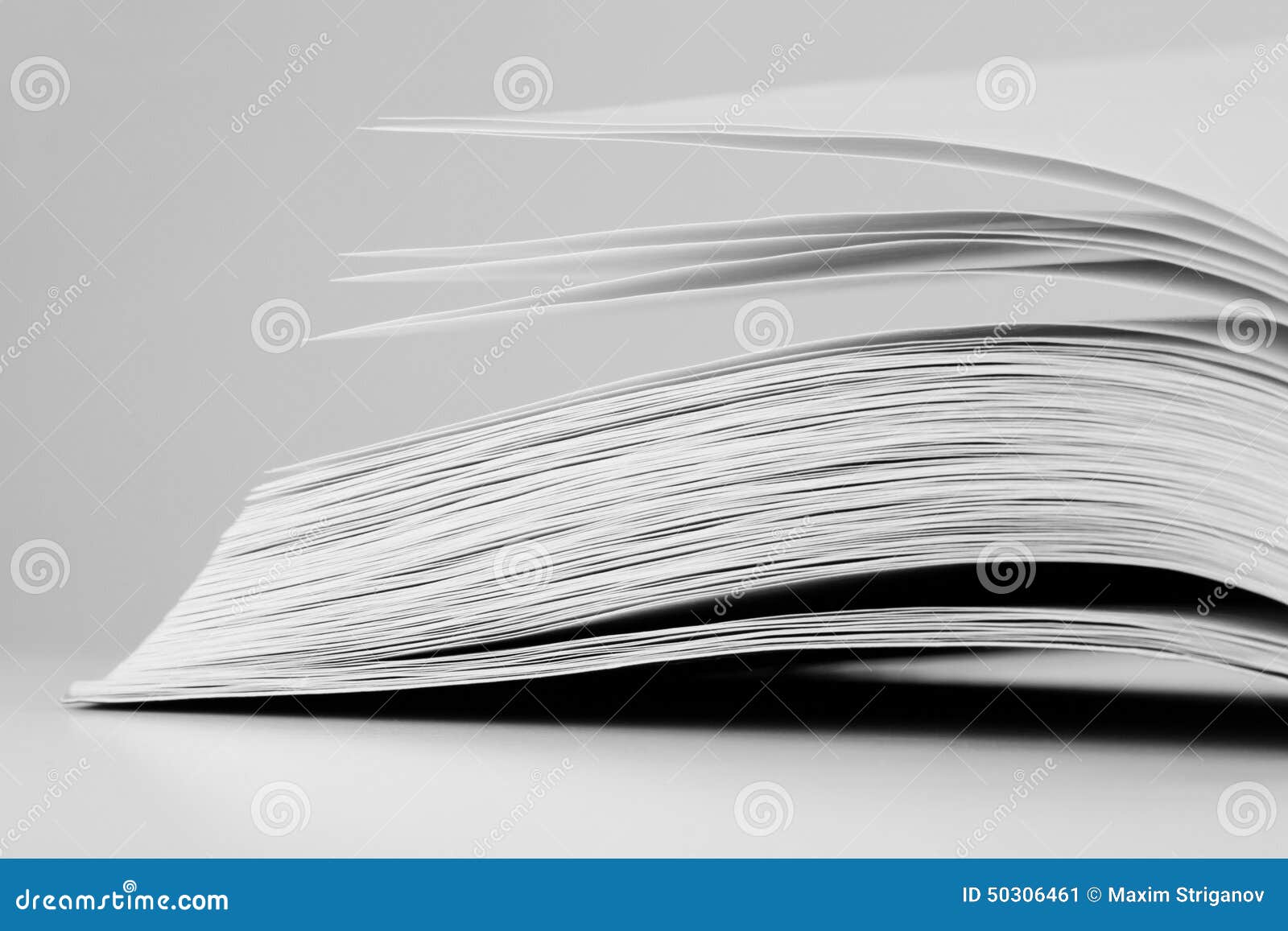 Blank book stock image. Image of book, equipment, edition - 50306461