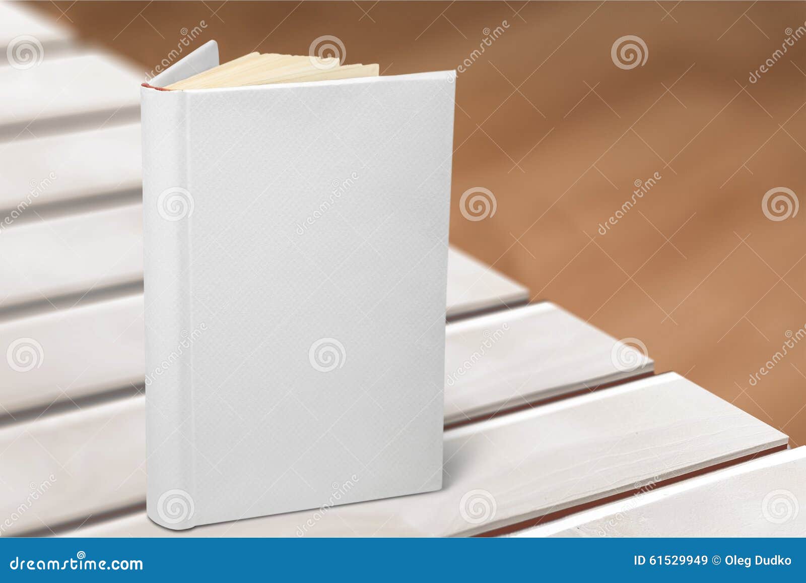 Blank book stock image. Image of pamphlet, media, clean - 61529949