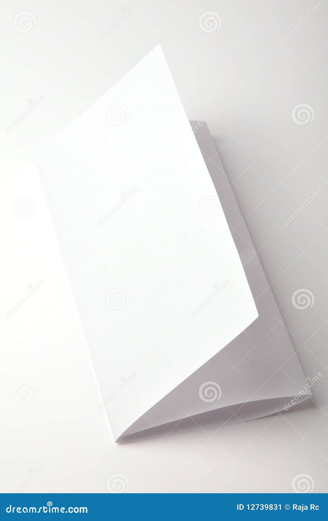 Blank Brochure Mockup, DL Paper Trifold Flyer Stock Image ...