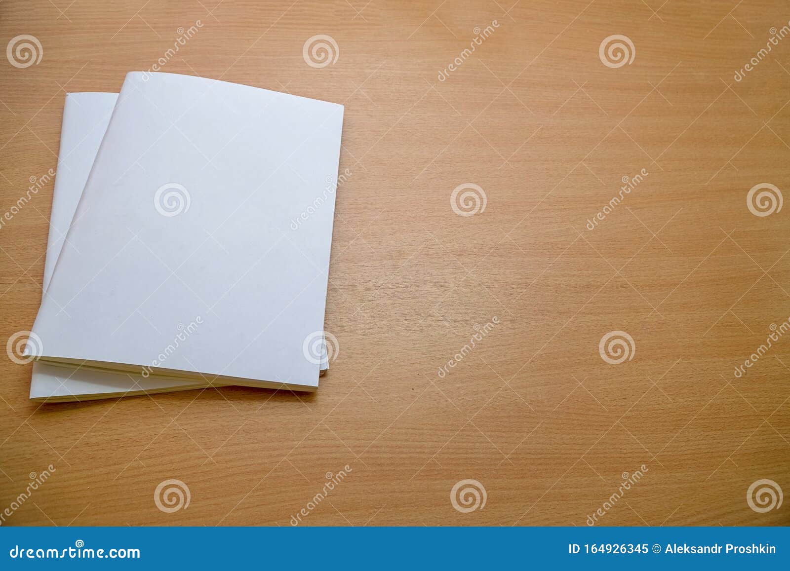 Blank Brochure Form with a Clear Title Page for Your Project Stock ...