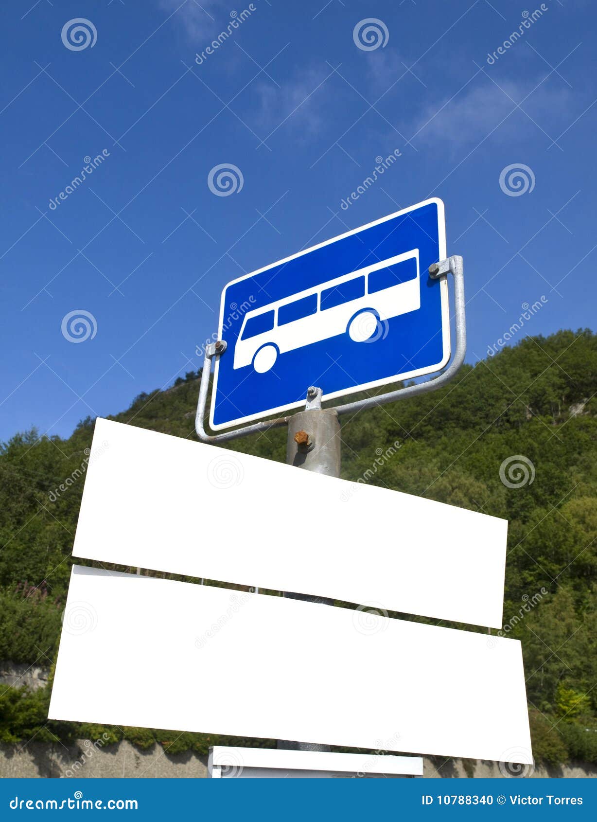 Blank Bus Signs stock photo. Image of advice, communication - 10788340