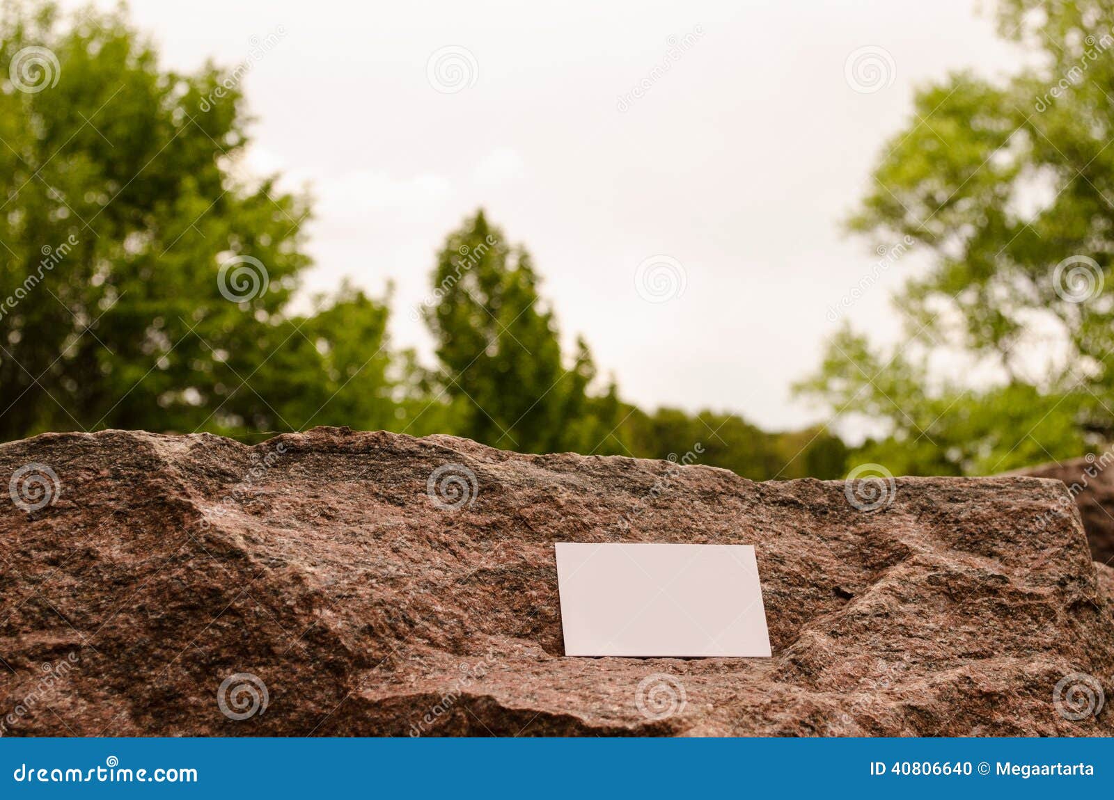 Blank Business Card Outdoor Stock Photo - Image of outdoor, background ...