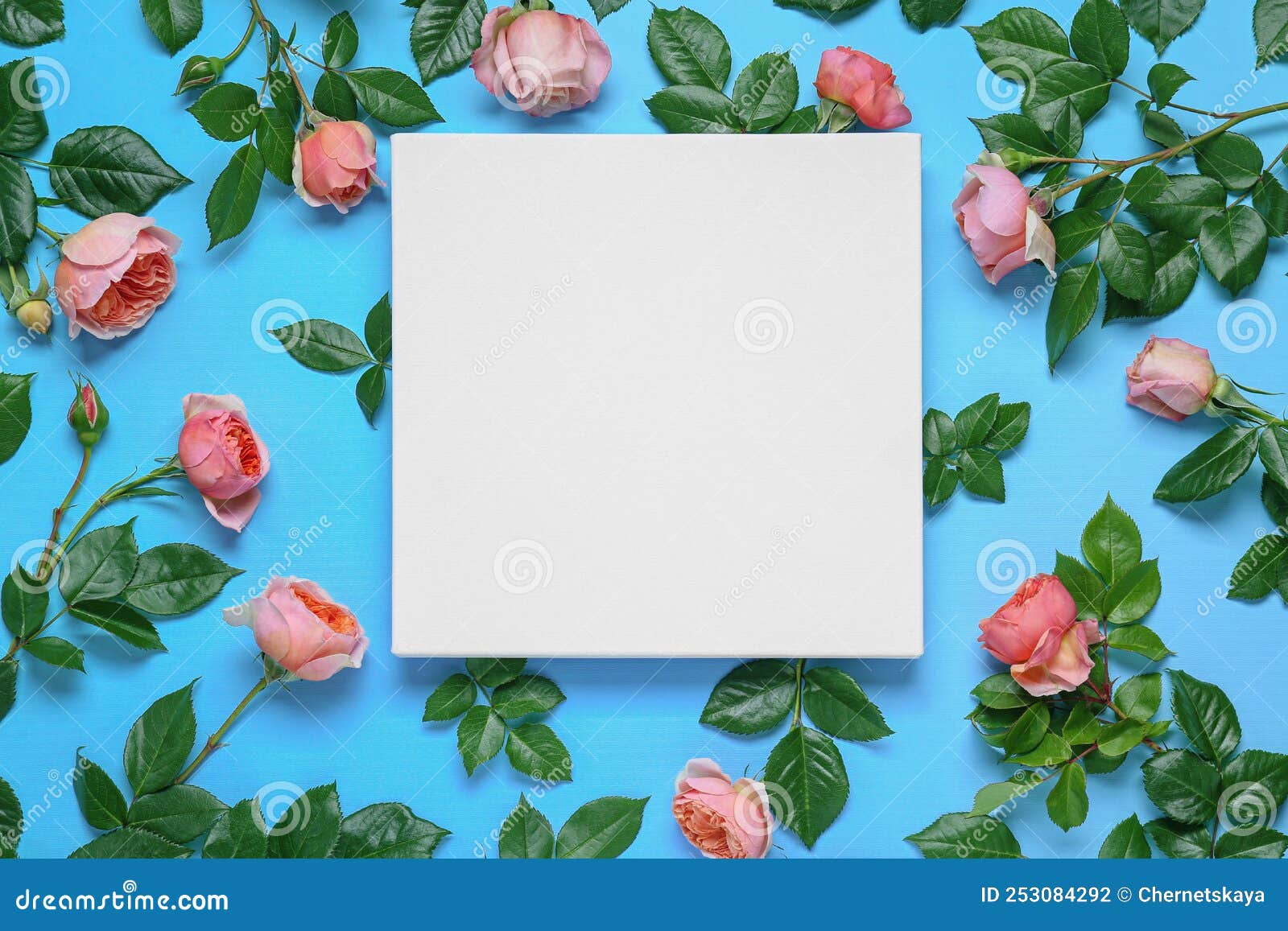 Blank Canvas and Beautiful Pink Roses on Blue Background, Flat Lay ...