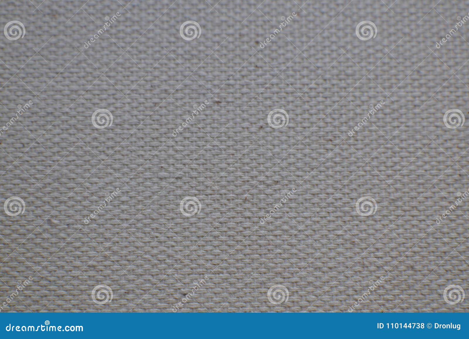 Blank Canvas Texture