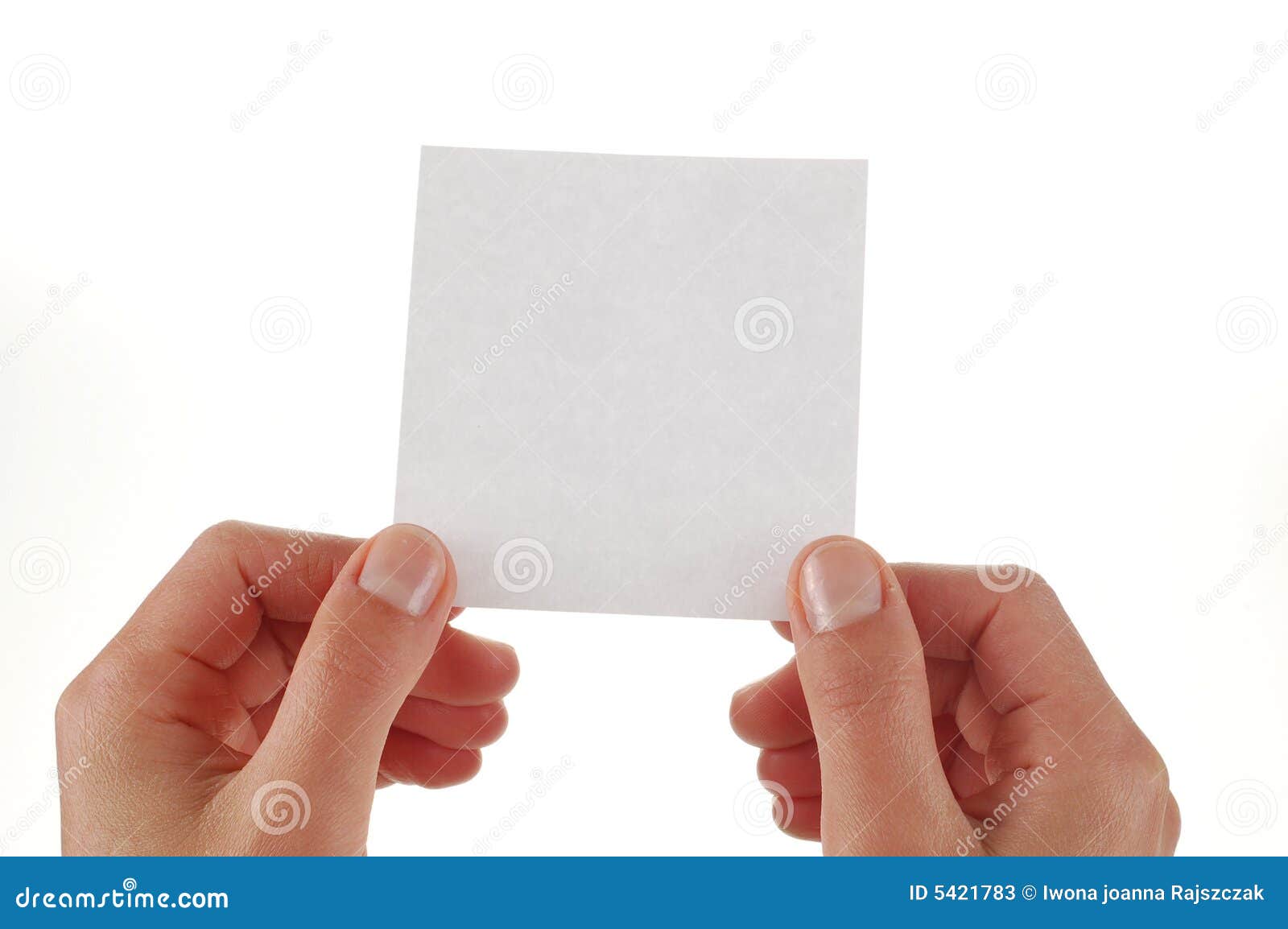 Blank card stock image. Image of background, display, hold - 5421783