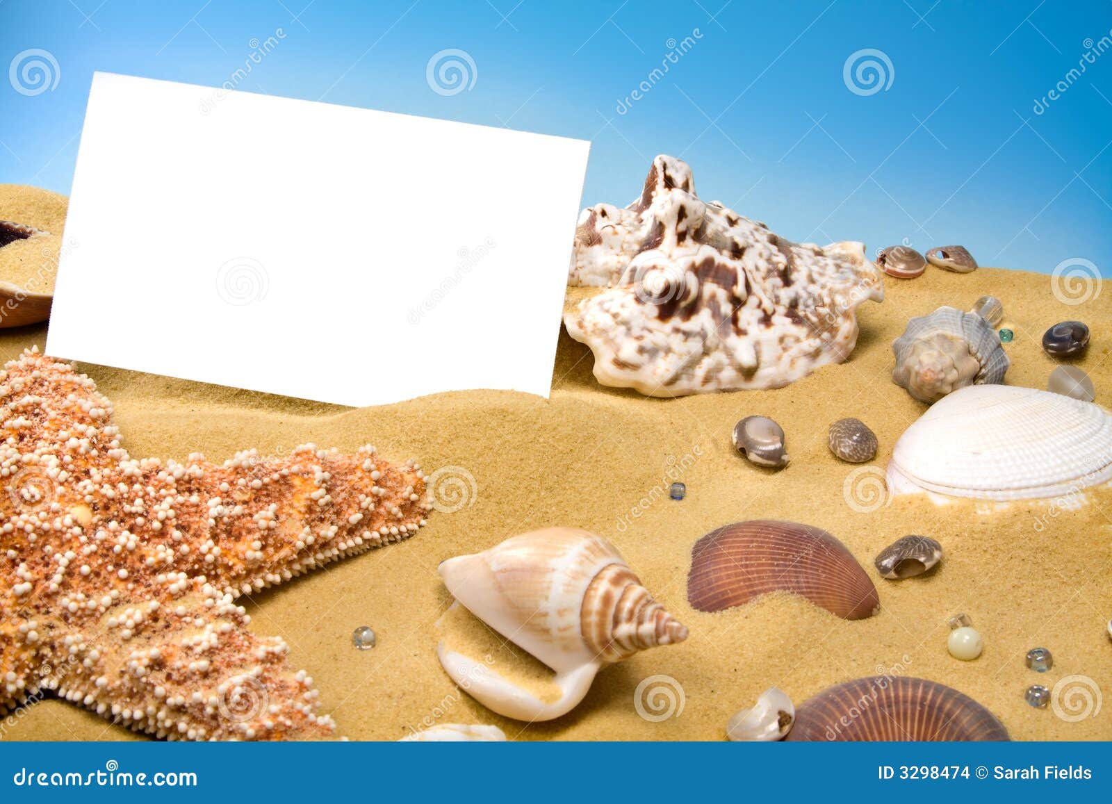 Blank Card on Beach stock photo. Image of card, coast - 3298474