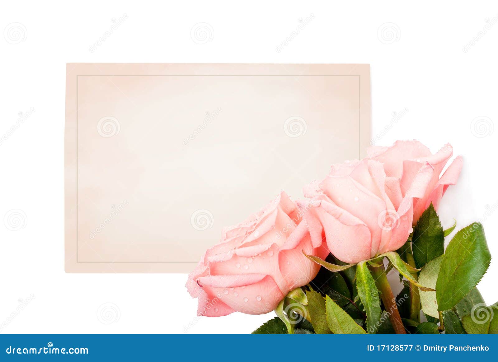 Blank Card for Congratulations Stock Image - Image of frame, copyspace ...