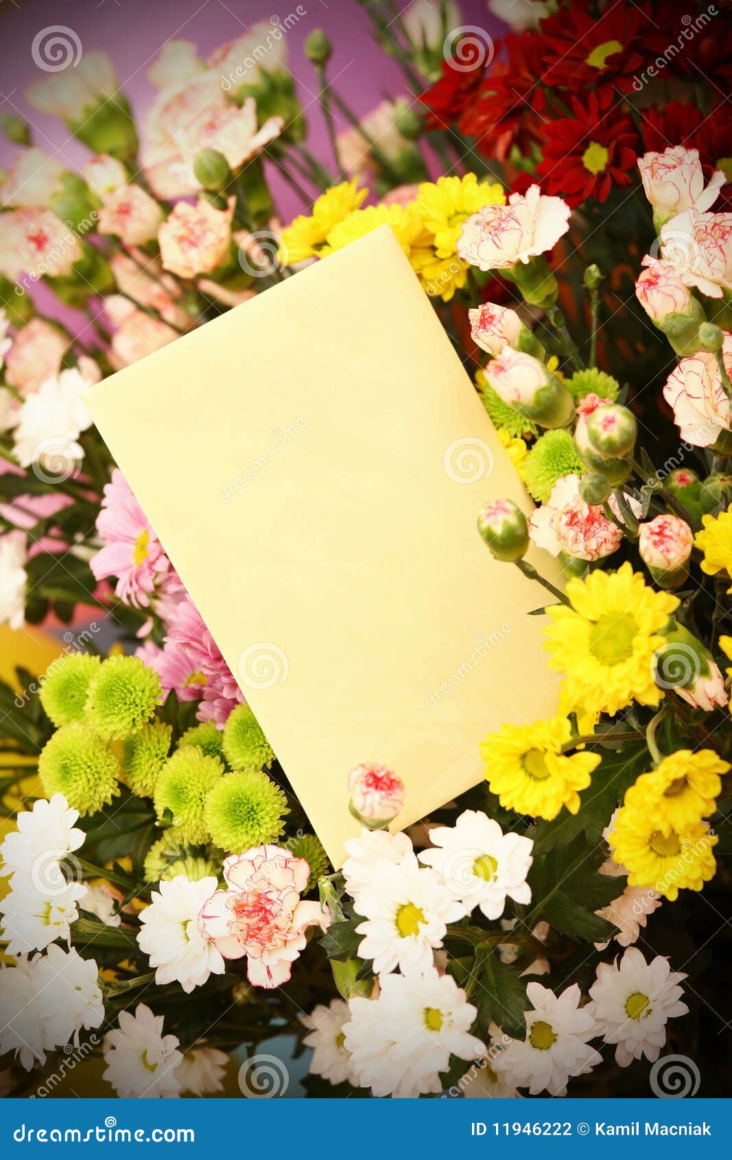 Blank card and flowers stock photo. Image of blank, arranging - 11946222