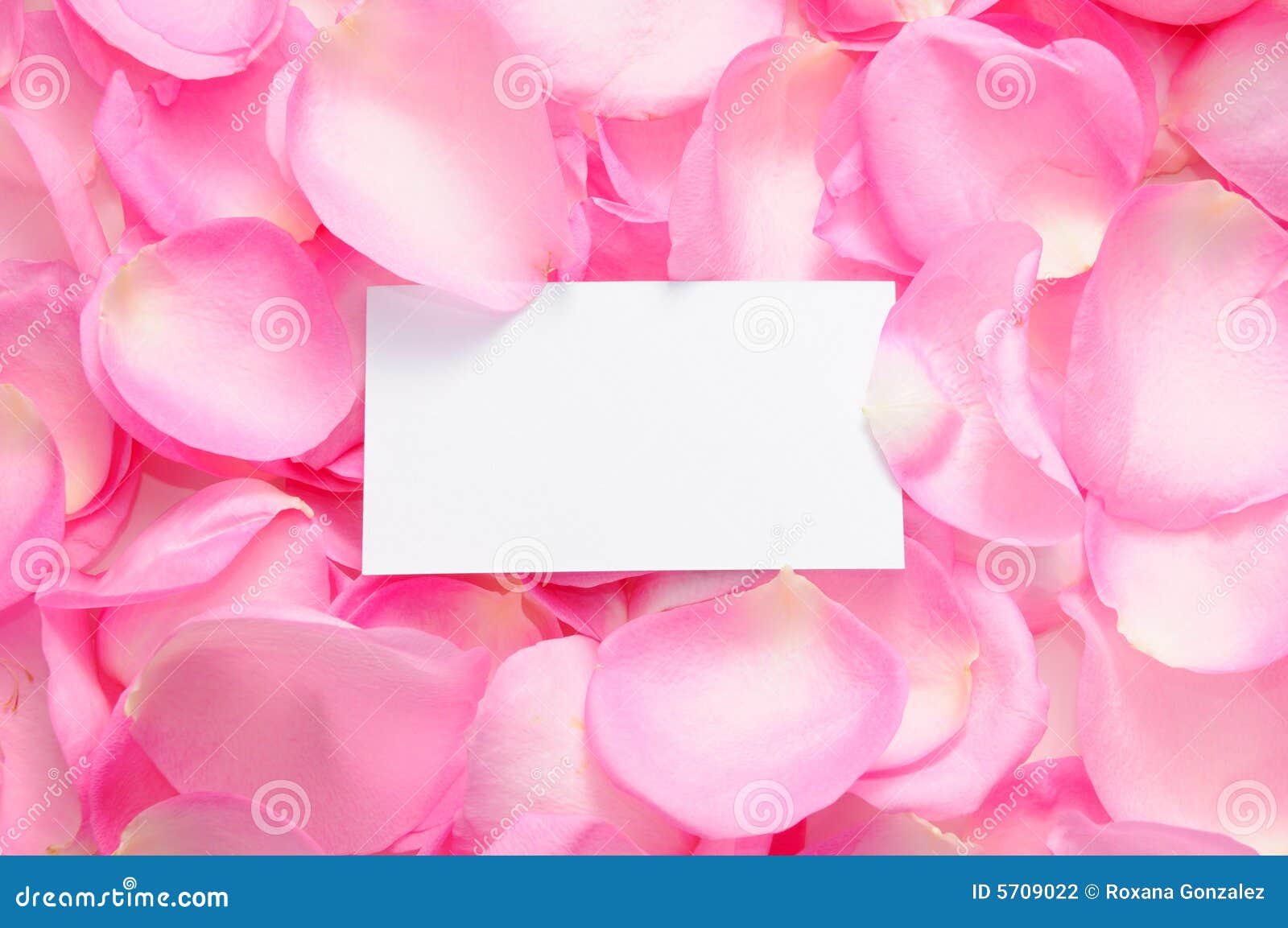 669 Rose Petals Label Stock Photos - Free & Royalty-Free Stock Photos ...