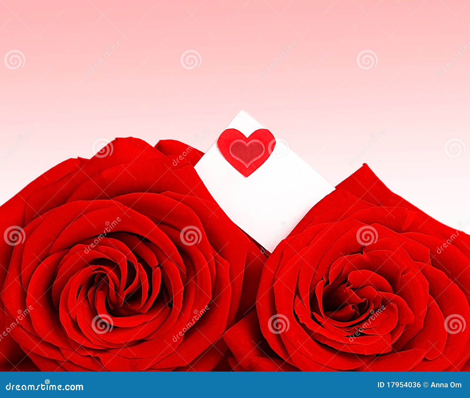 Blank card with roses stock photo. Image of flowers, ornament - 17954036