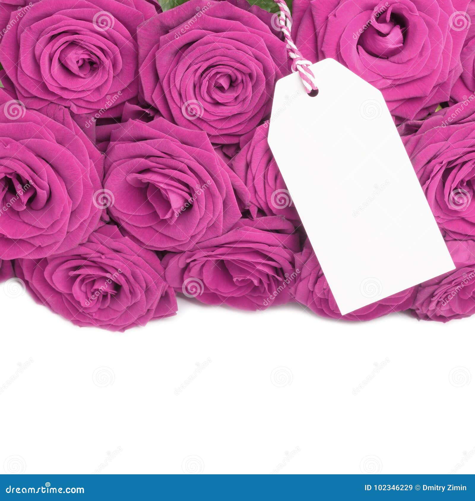 Blank card with roses stock image. Image of space, isolated - 102346229