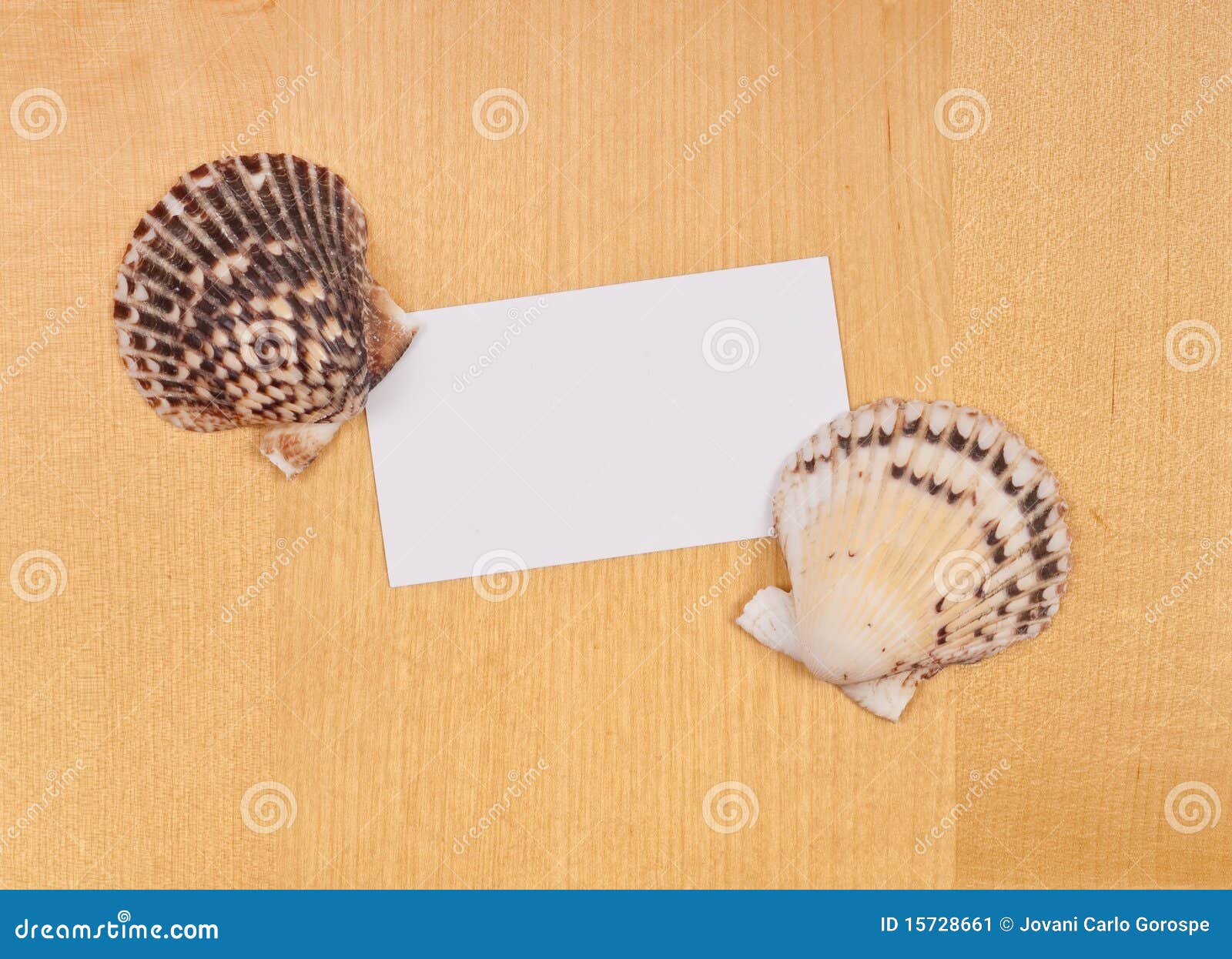 Blank Card with Shells stock image. Image of advertising - 15728661