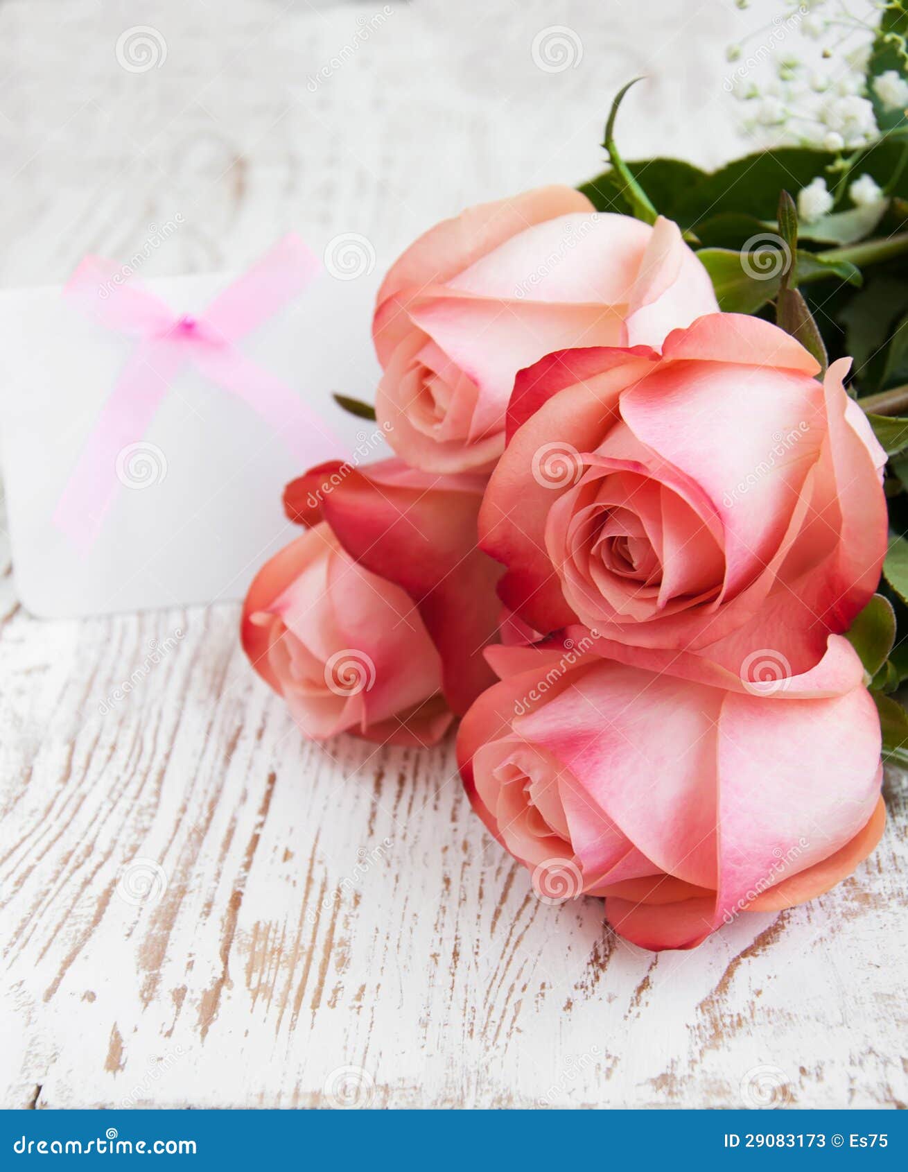 Blank Card For Your Message And Pink Roses Stock Image - Image of label ...