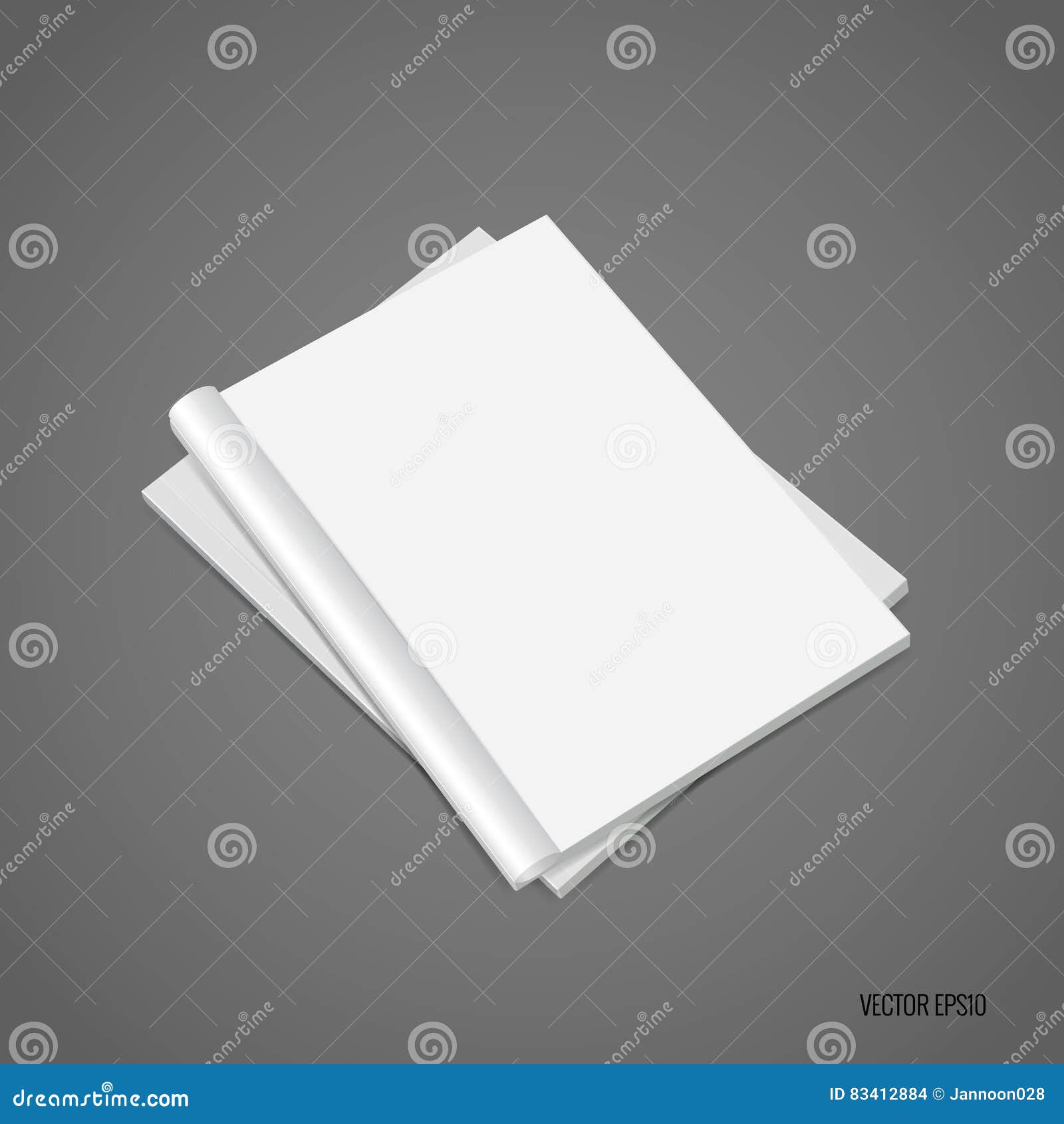 Blank Catalog, Magazines,book Mock Up. Vector Illustration Stock Vector ...