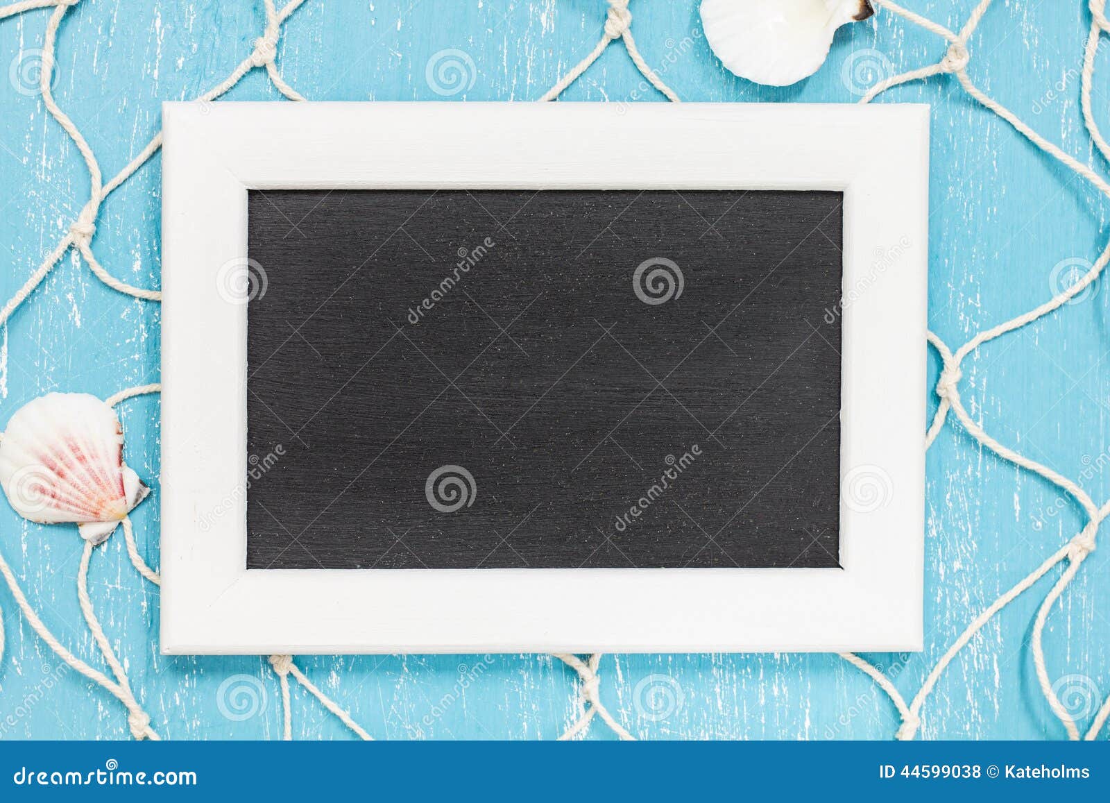 288 Scratched Shells Stock Photos - Free & Royalty-Free Stock Photos ...