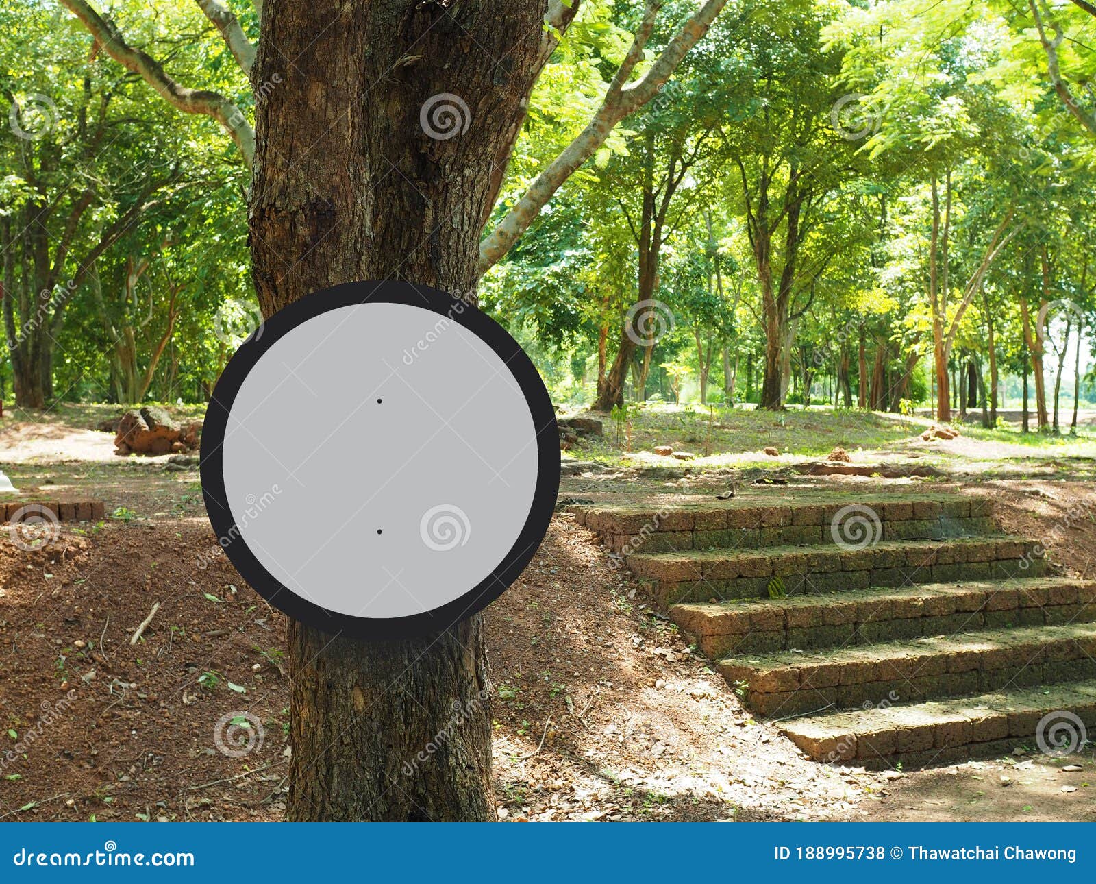A Blank Circle Sign on a Tree in the Sathana Gardens Stock Photo ...