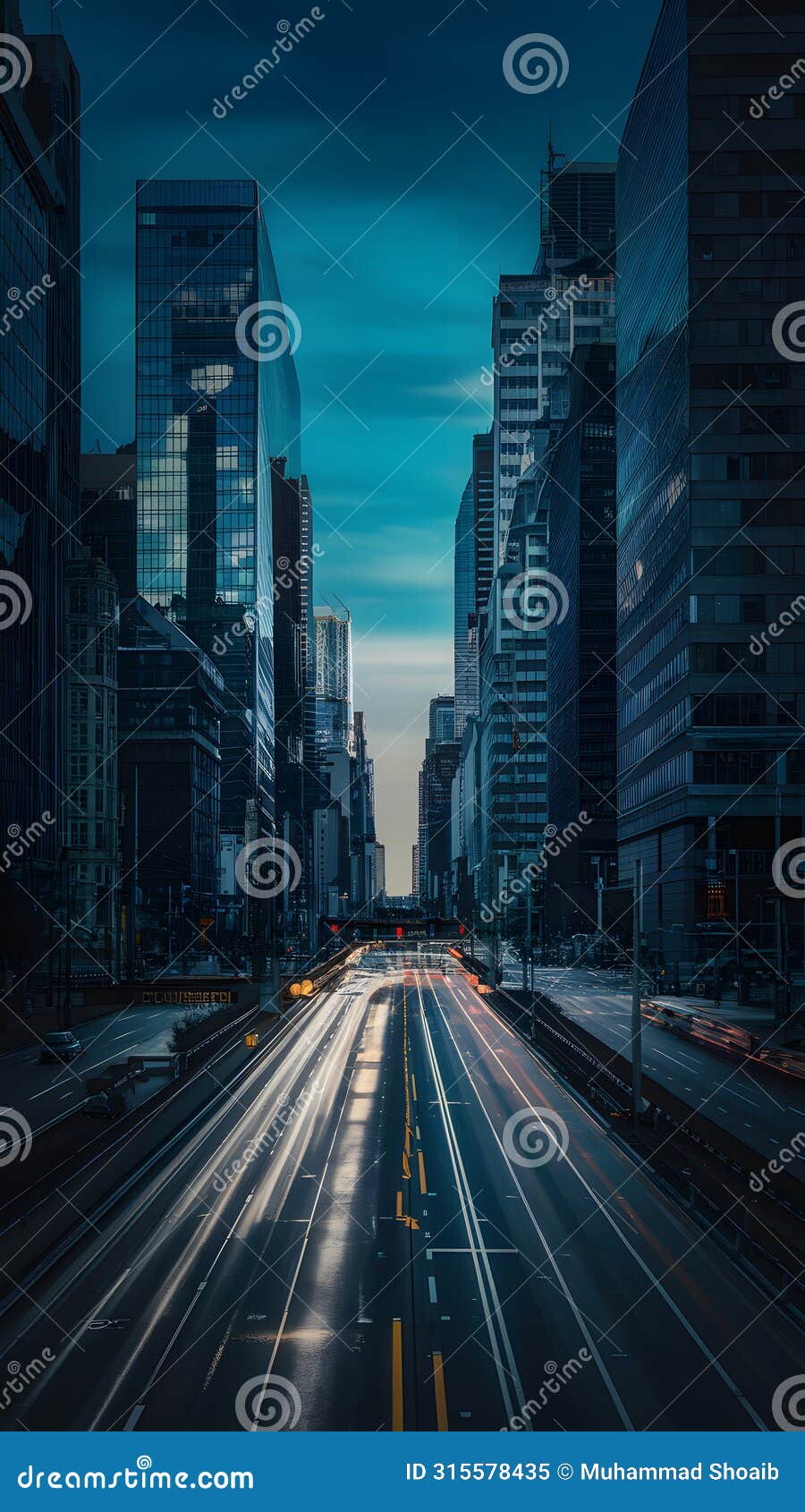 Blank Citylight Display Ready For Your Creative Content Royalty-Free ...