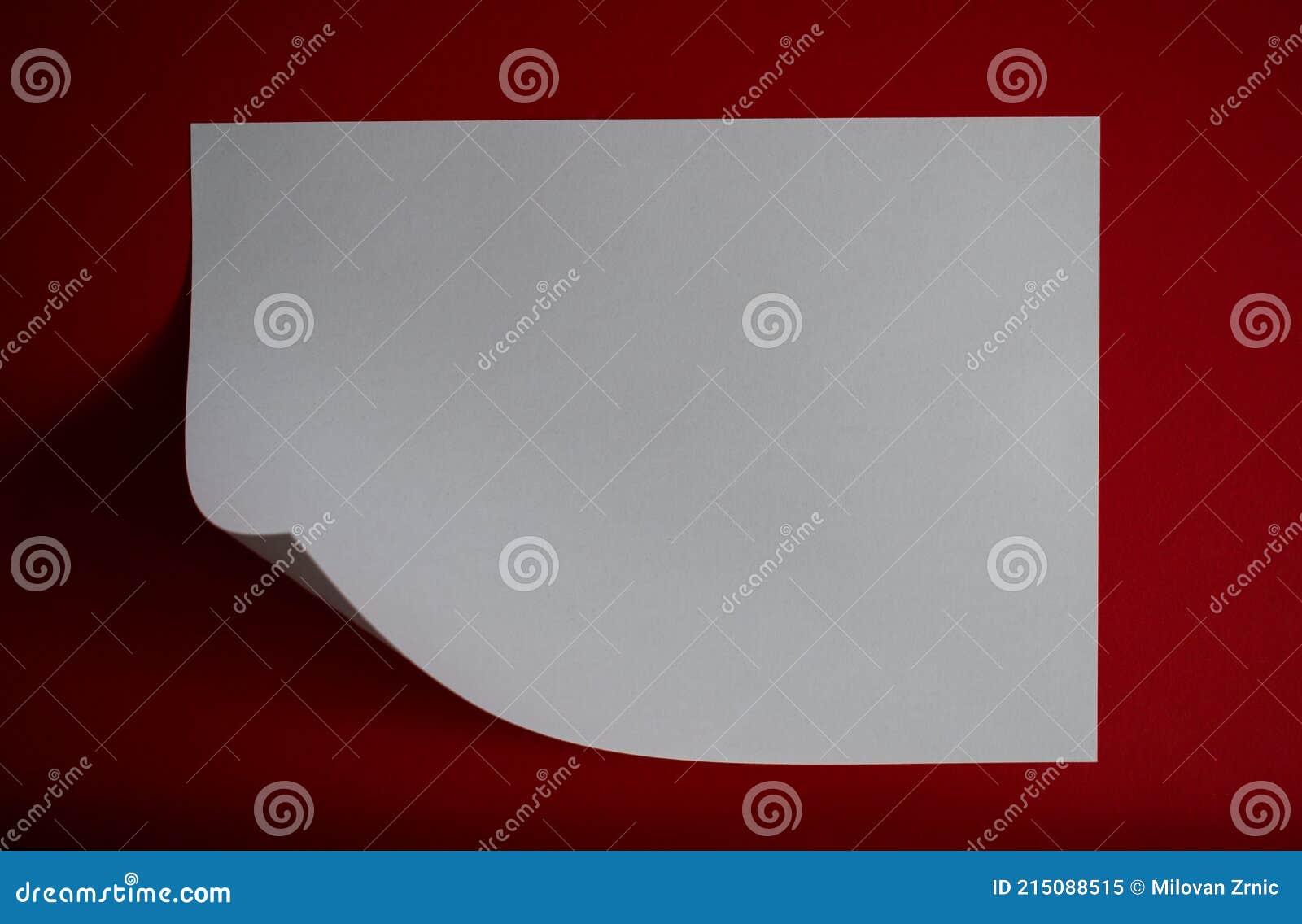 Blank Clean Sheet of White Paper on Red Background Stock Image - Image ...