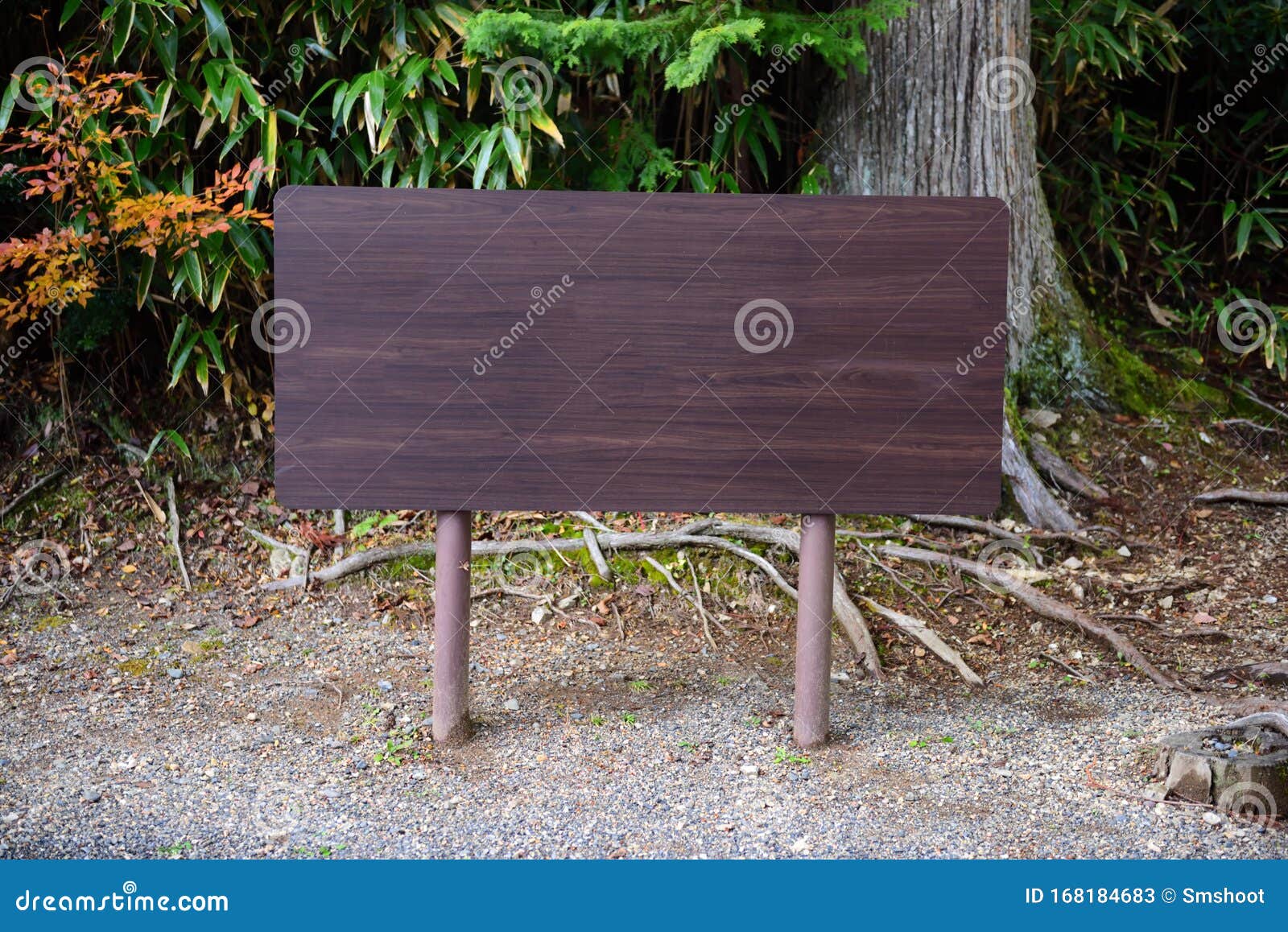 Blank Wooden Sign on Tree Background Stock Image - Image of nature ...
