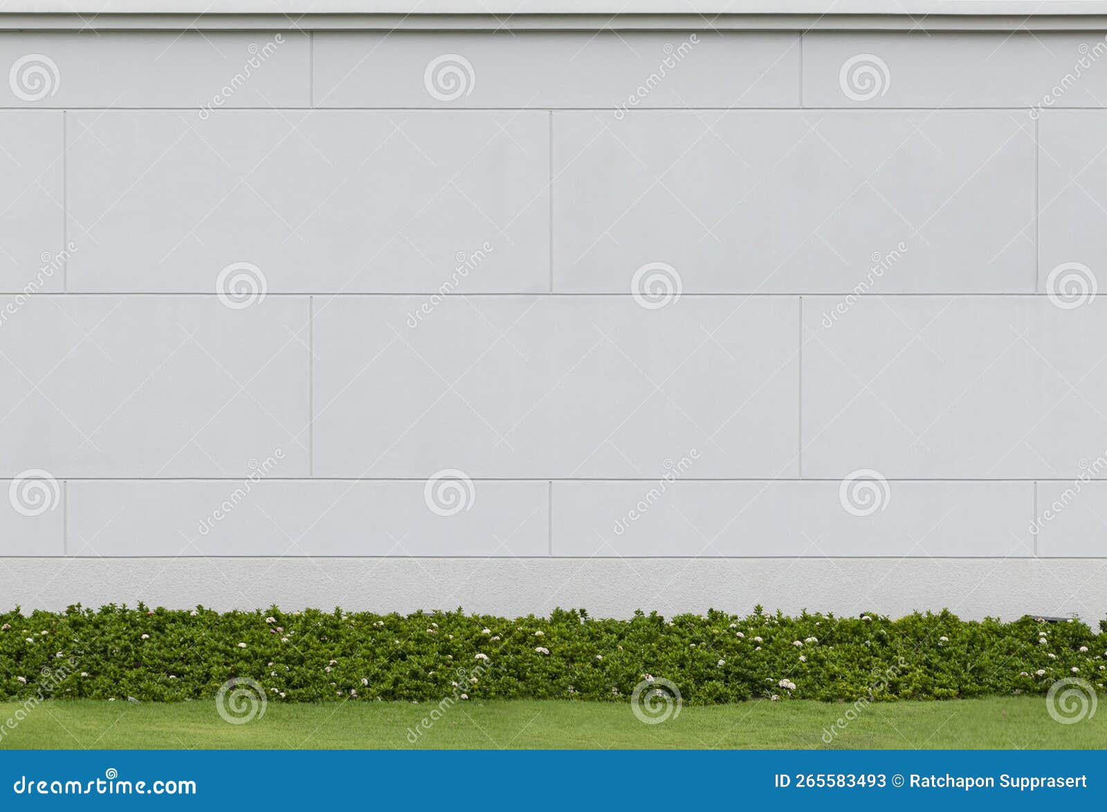 Blank Concrete Pattern Brick Wall with Bush Wall Stock Image - Image of ...