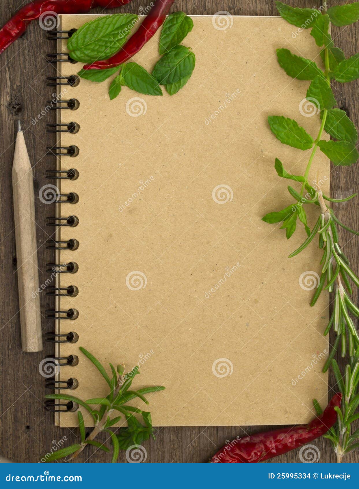 Blank cookbook for recipes stock photo. Image of freshness - 25995334