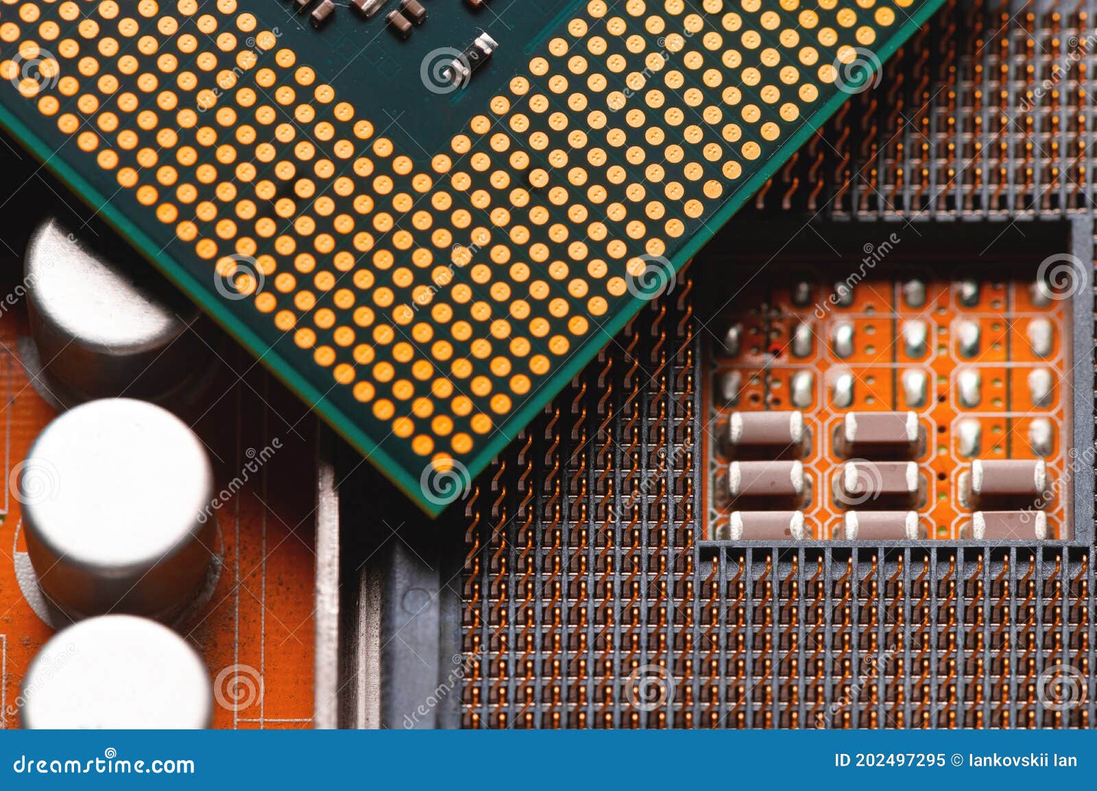 Blank Cpu Cpu Socket with Pins on Motherboard in Yellow Color Close-up ...