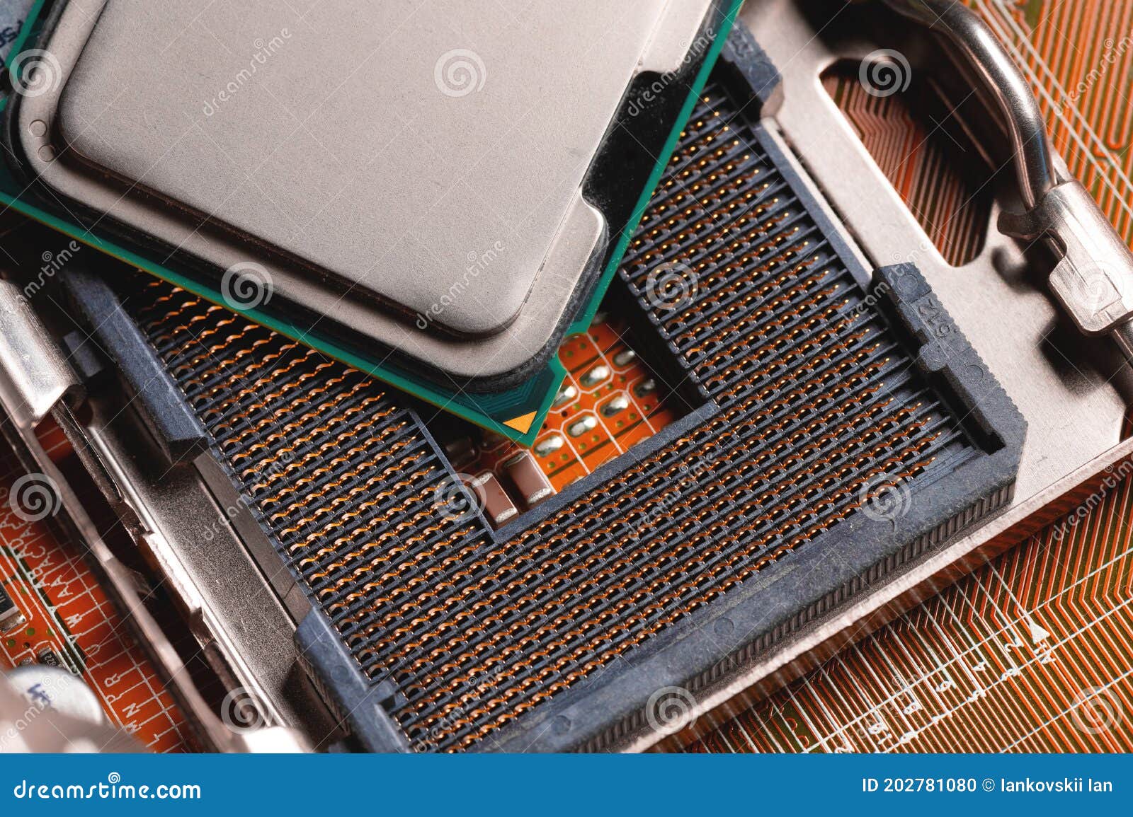 Blank Cpu Cpu Socket with Pins on Motherboard in Yellow Color Close-up ...
